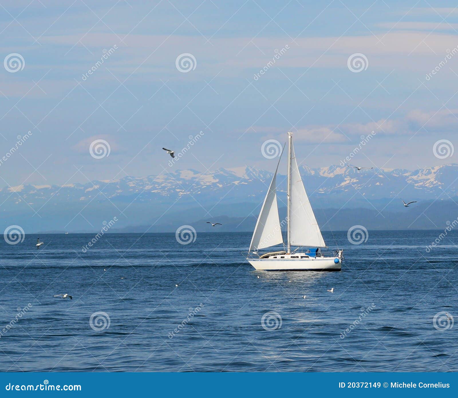 Sailboat in the bay stock image. Image of alaska, summer - 20372149