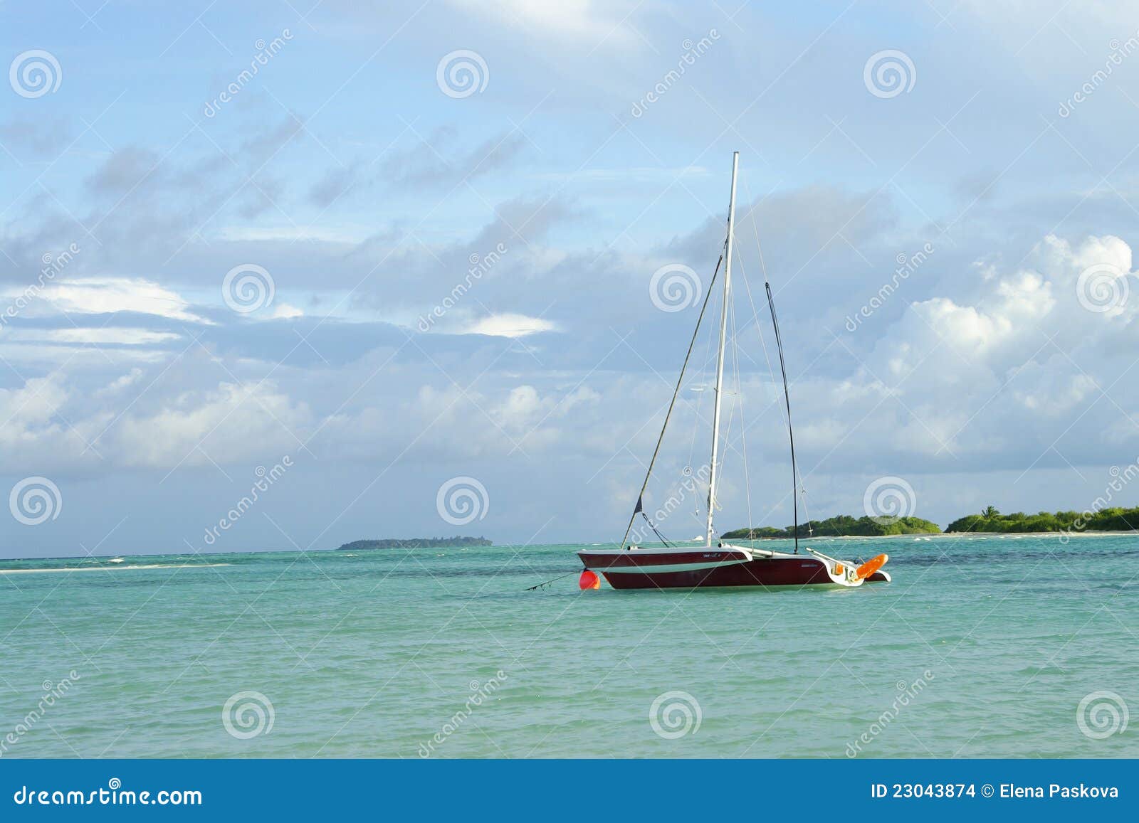 Sailboat in Bay stock photo. Image of paradise, dreams - 23043874