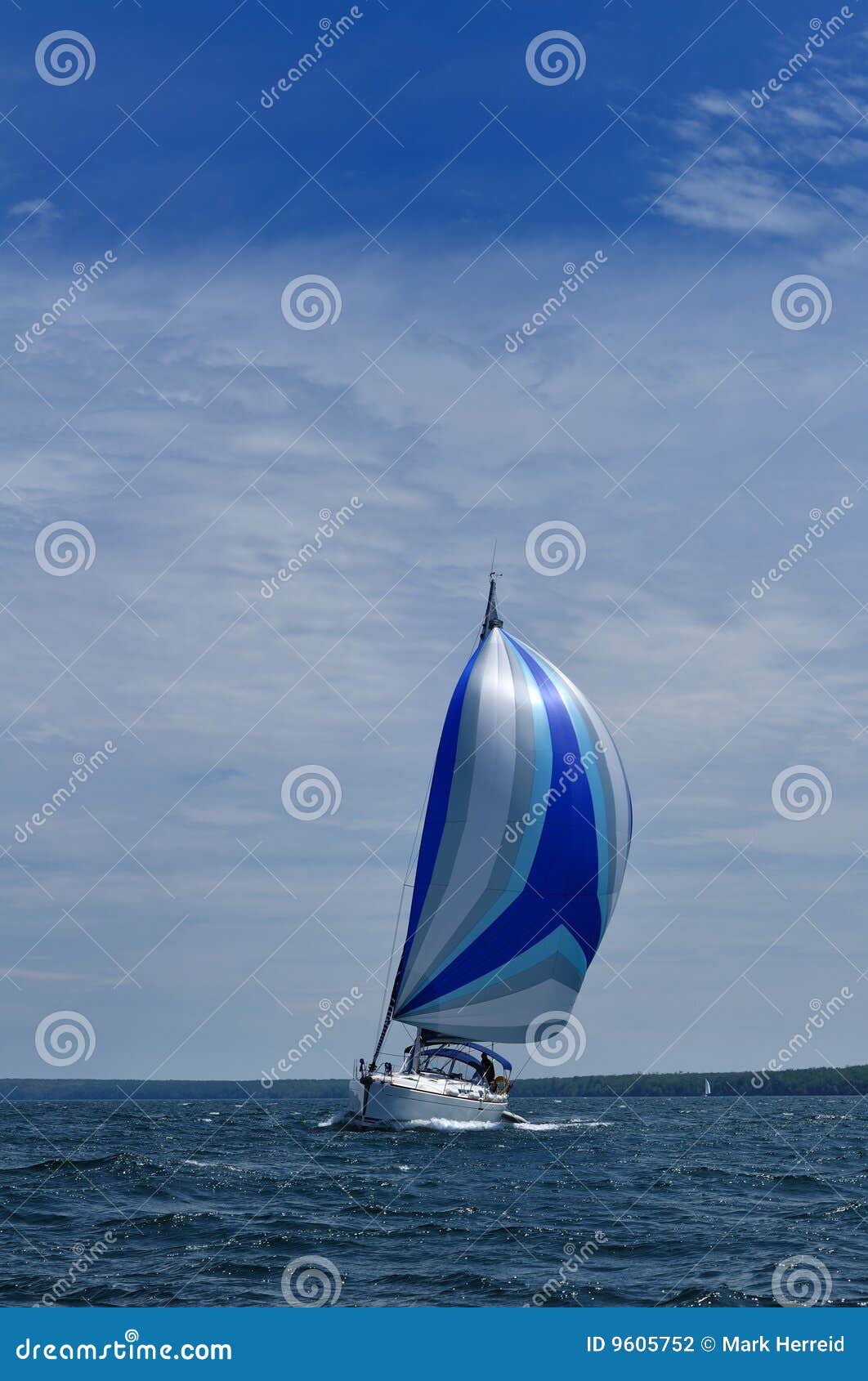 Sailboat with Blue Spinnaker Sail Stock Photo - Image of lake, vertical ...