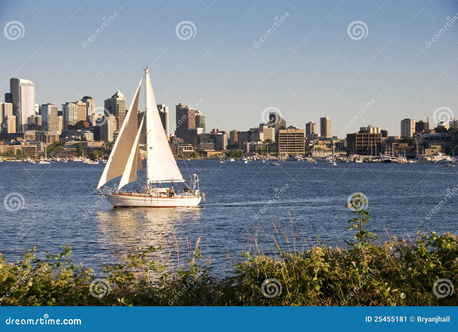Sailboat with city skyline stock image. Image of boat - 25455181