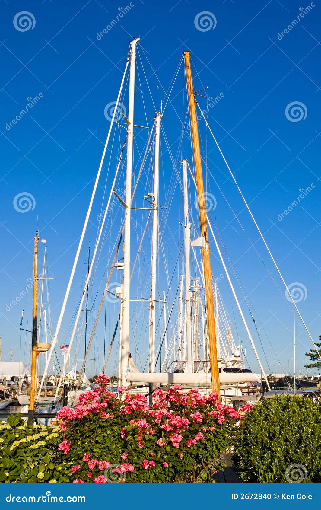 Masts Stock Photography | CartoonDealer.com #54596078