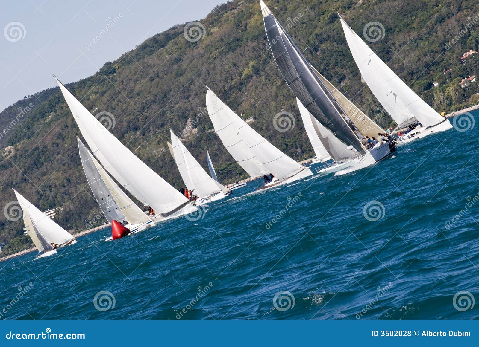 Sailboat Racing stock photo. Image of lifestyle, daysail - 3502028