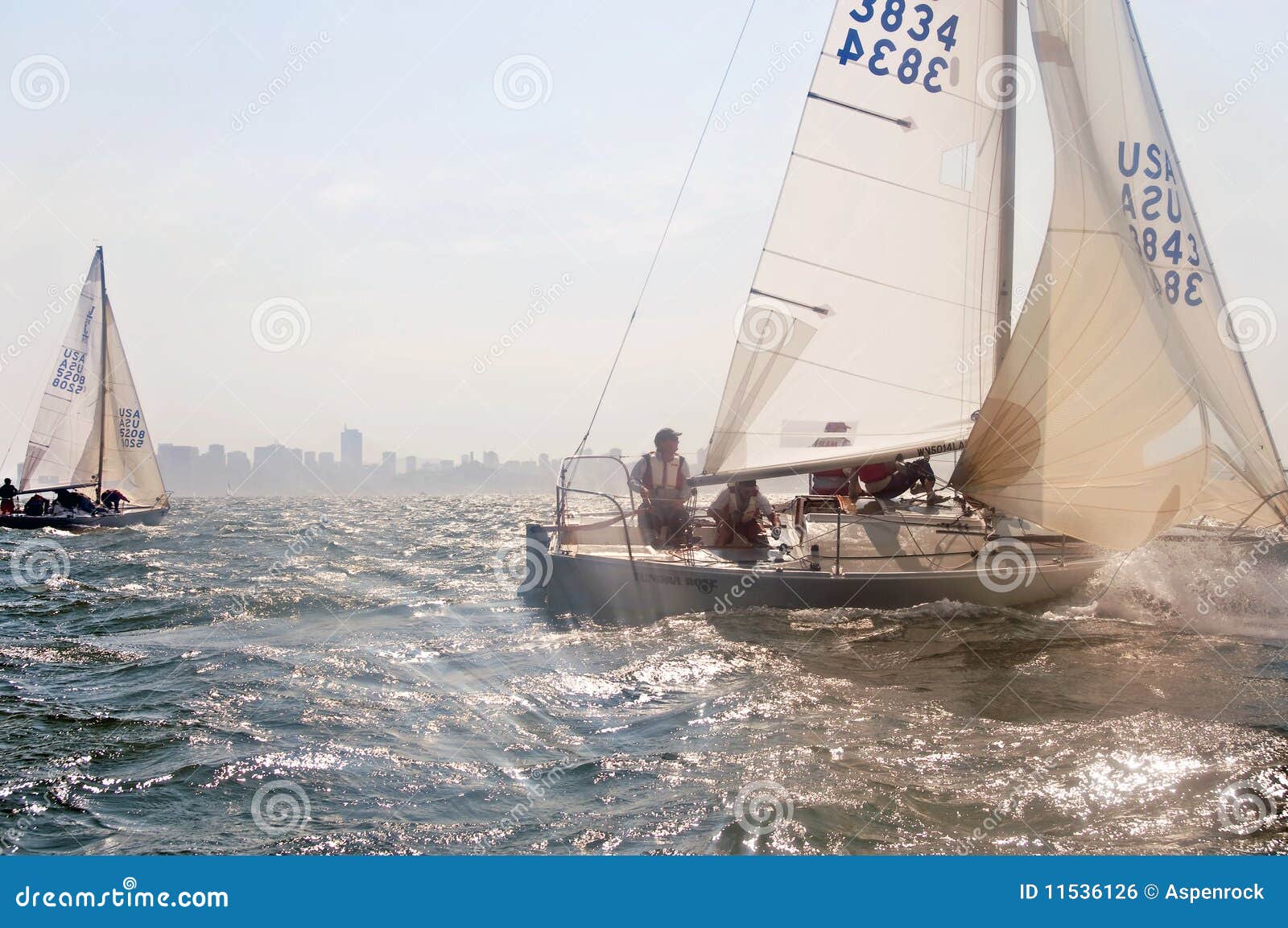 Sailboat racing on the bay editorial photo. Image of chute - 11536126