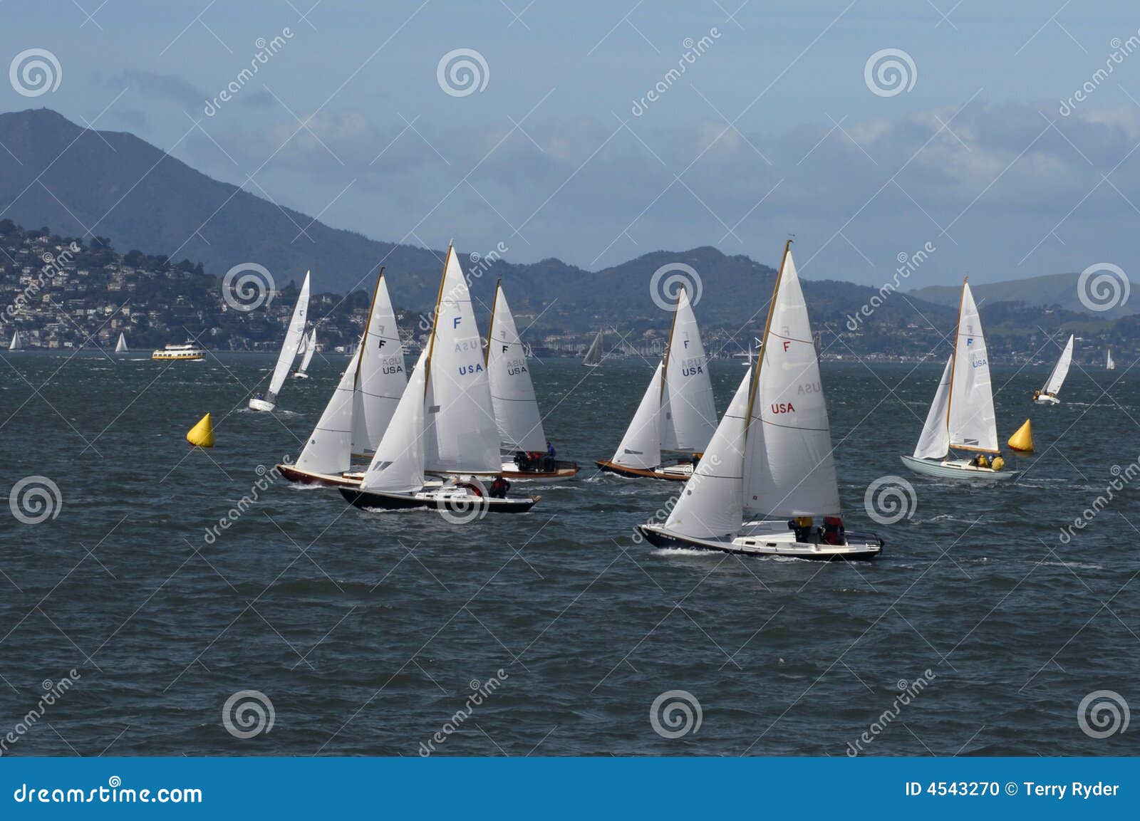 Sailboat Racing on San Francisco Bay Stock Photo - Image of sailboat ...