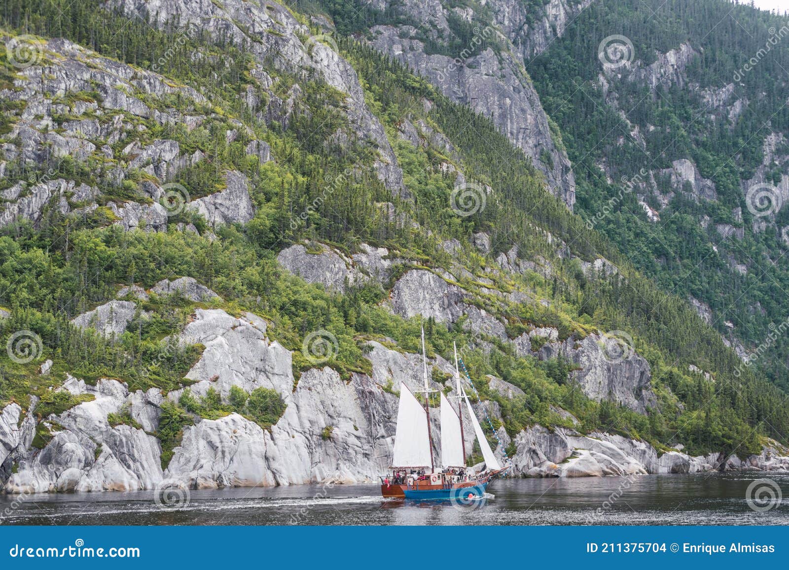 Sailboat Sailing on a Fjord Stock Photo - Image of coastline, historic ...