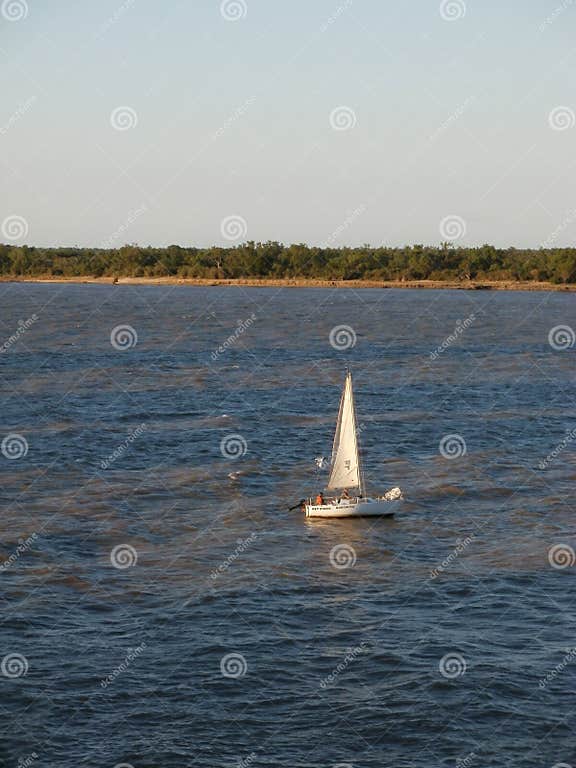 A Sailboat Sailing the River Editorial Photography - Image of spring ...