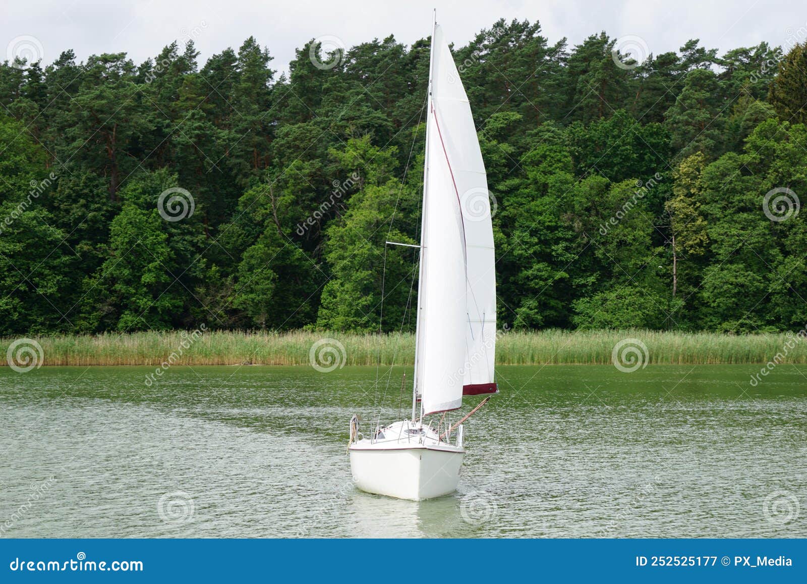 Sailboat Swimming on a Lake - Front View Stock Image - Image of tree ...