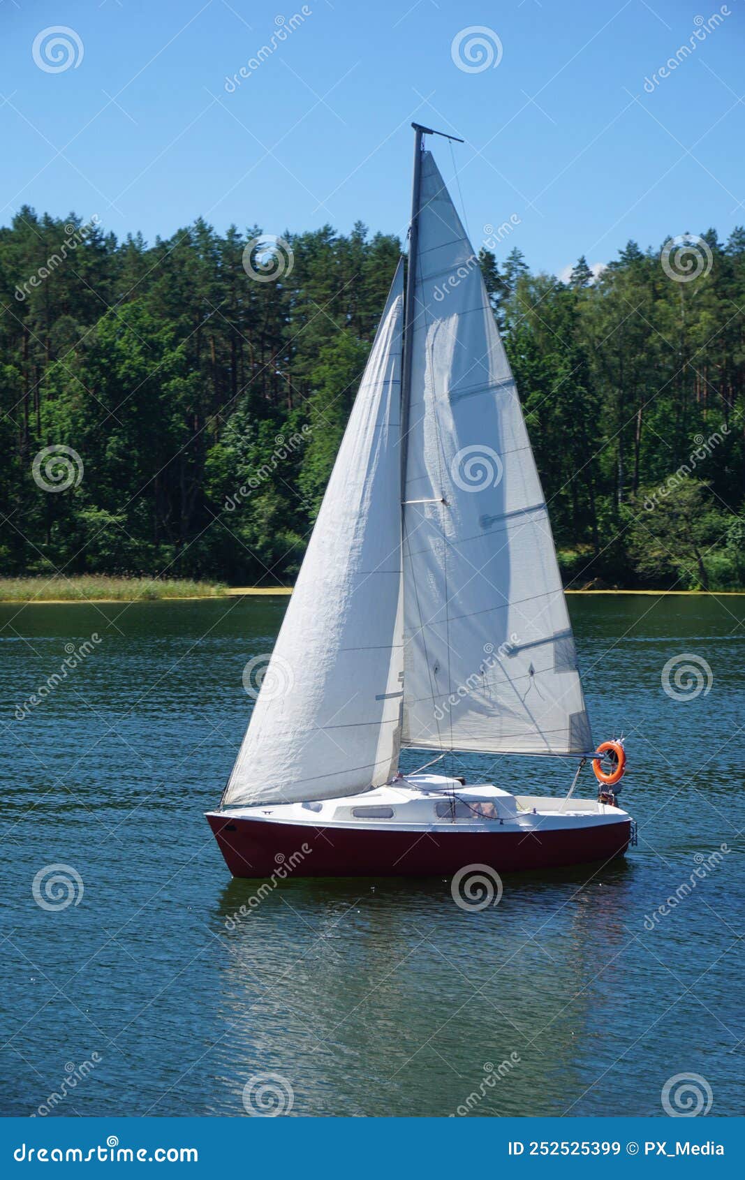 Sailboat Swimming on a Lake - Side View Stock Image - Image of swimming ...
