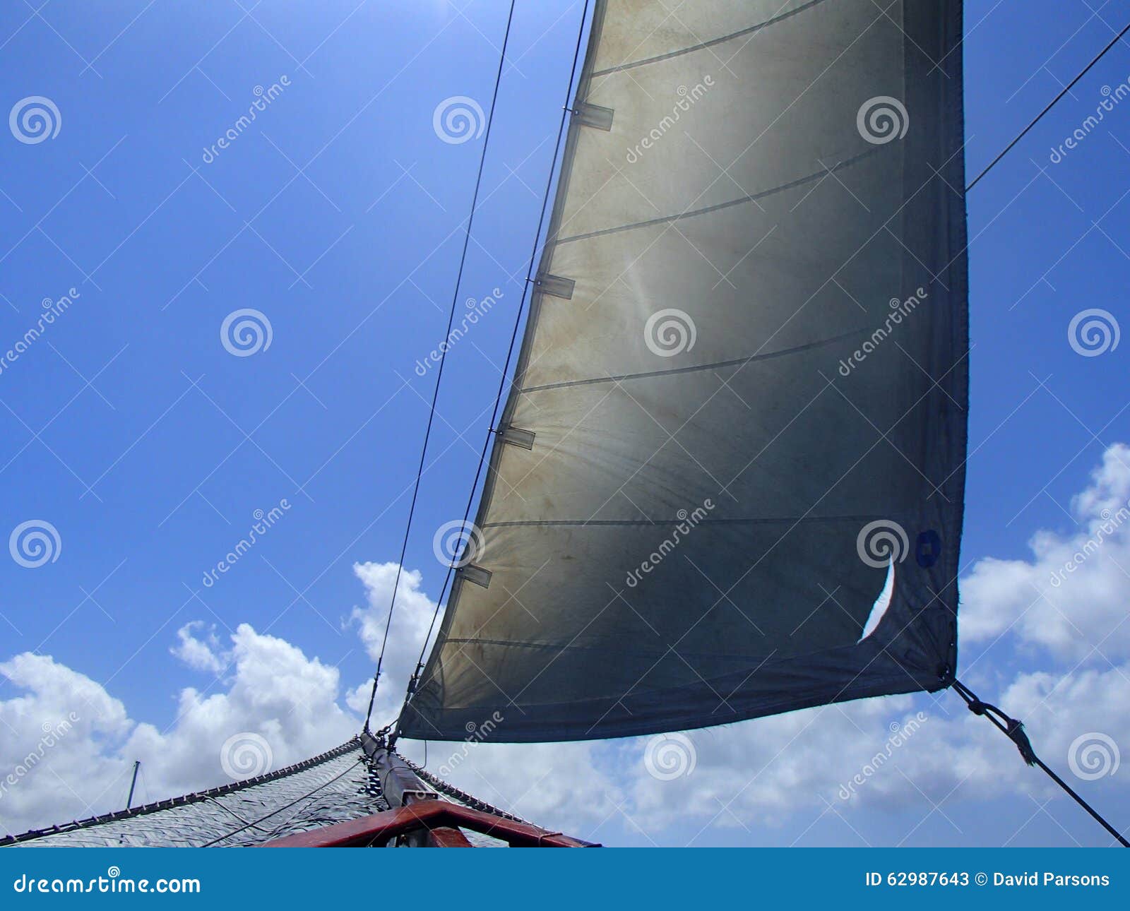 Sailboat under sail stock image. Image of palm, wind - 62987643