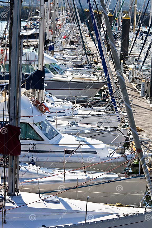 Sailboats stock image. Image of float, pleasure, pontoon - 22962115