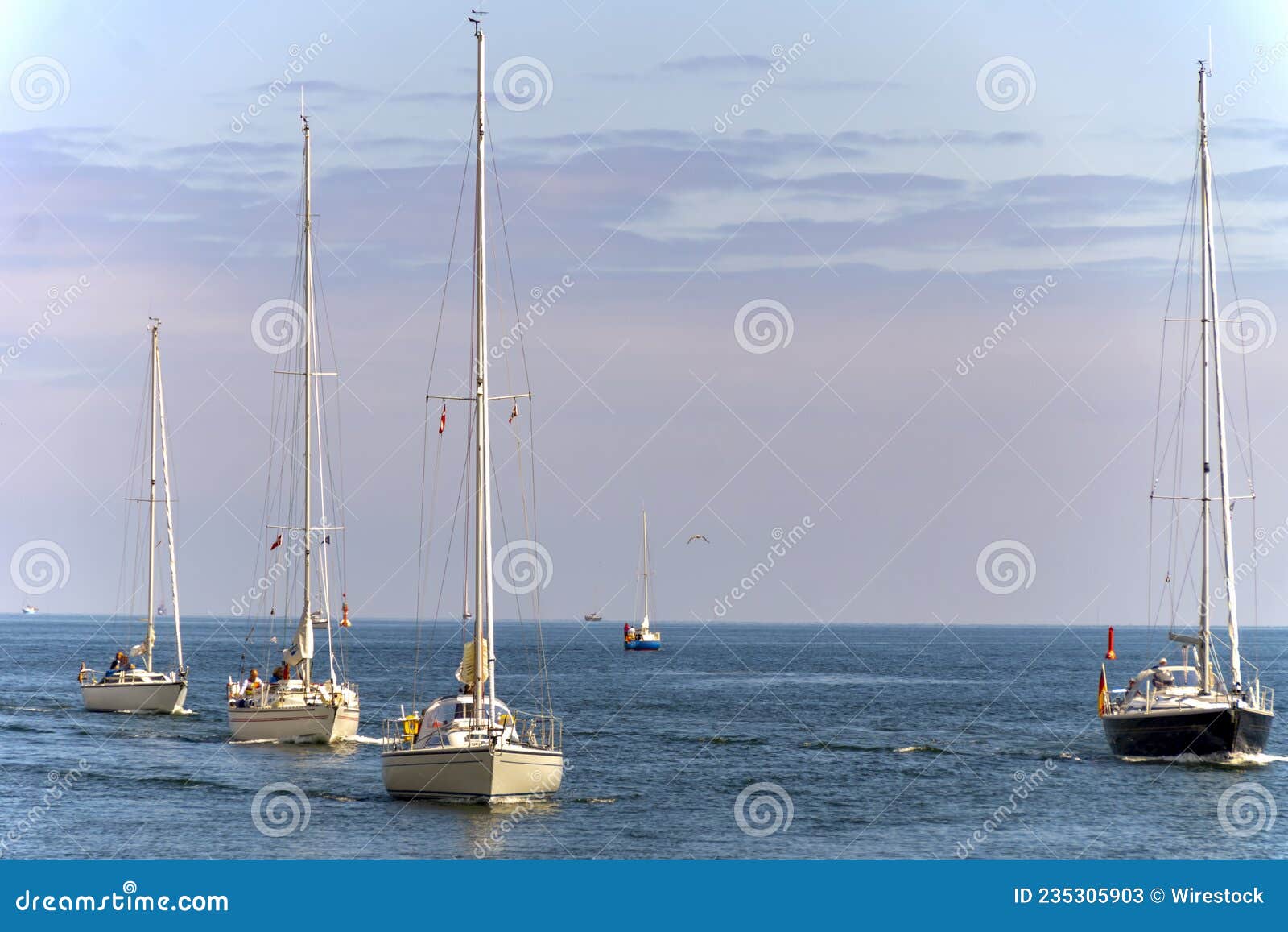 Sailboats in the bay stock image. Image of boat, beach - 235305903