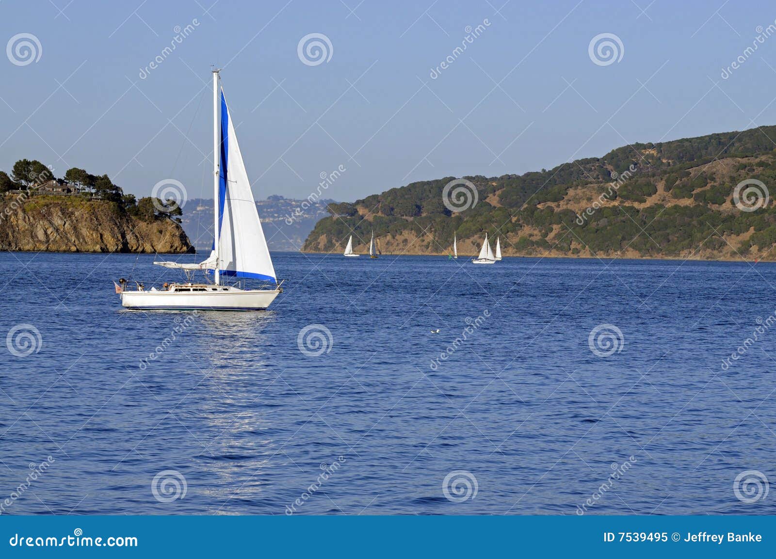 Sailboats in the bay stock image. Image of lazing, deck - 7539495
