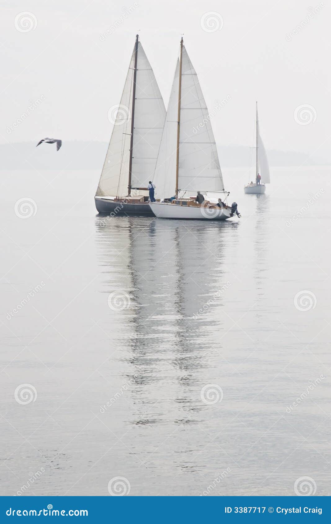 Calm Water Fountain Details In The Park National Domain Of Saint Cloud ...
