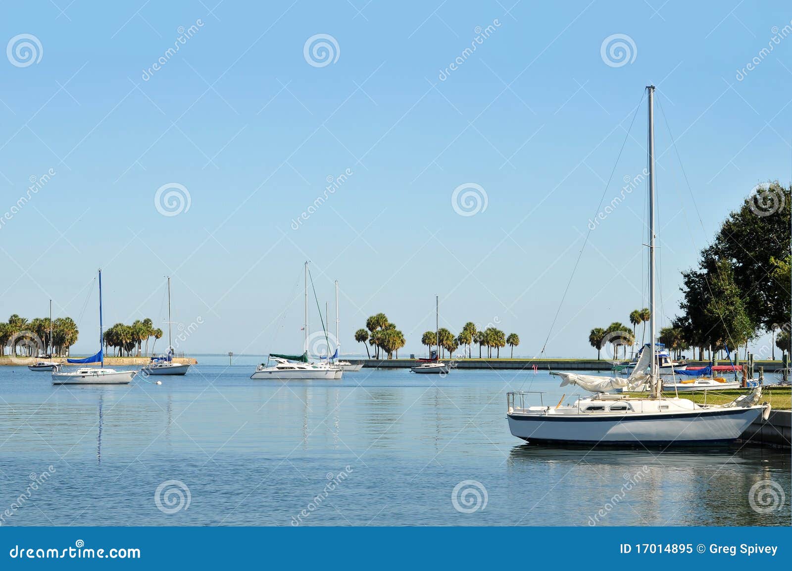 Sailboats in a cove stock image. Image of anchored, palms - 17014895