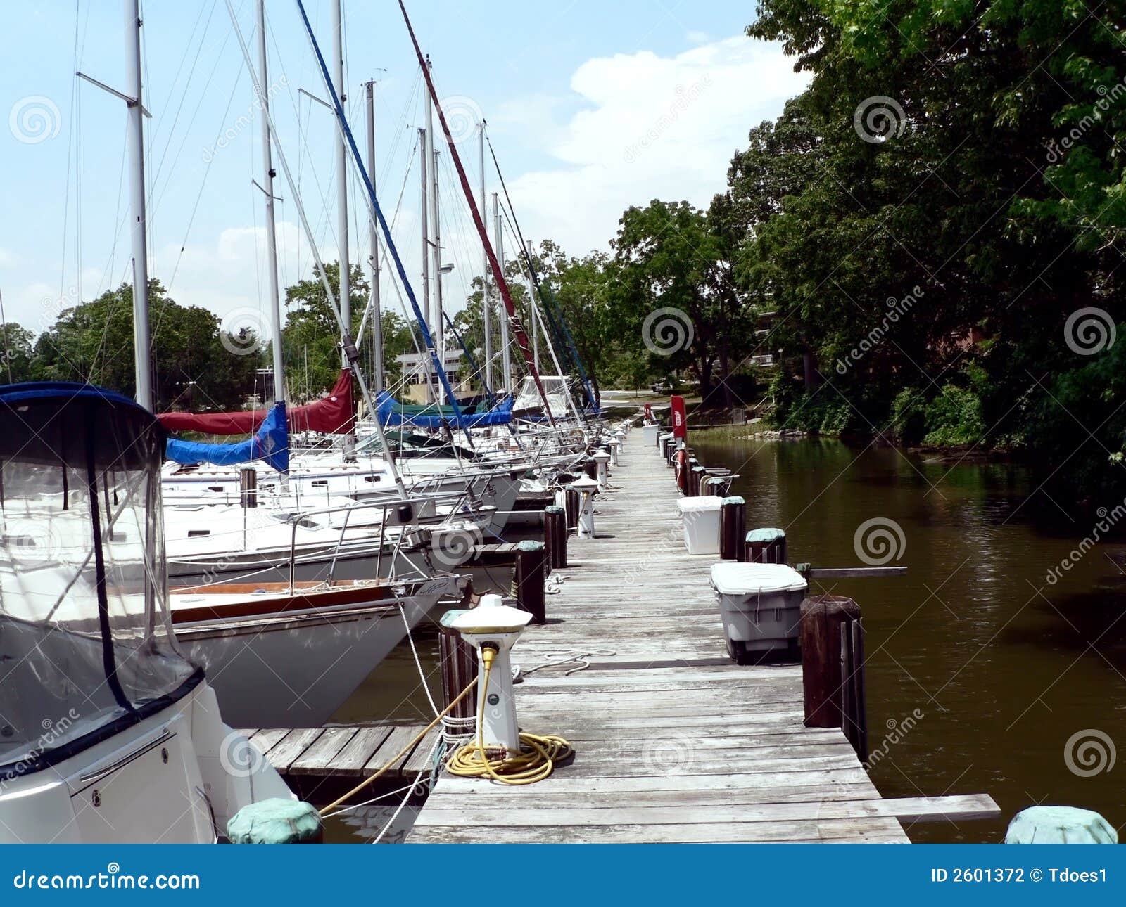 Sailboats docked stock photo. Image of slip, dock, sailboat - 2601372