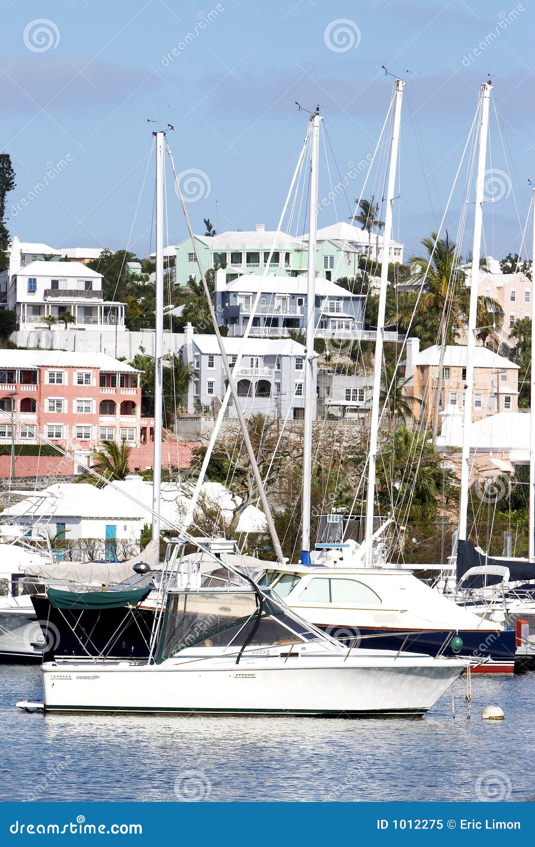 Sailboats in harbor stock image. Image of blue, ocean - 1012275