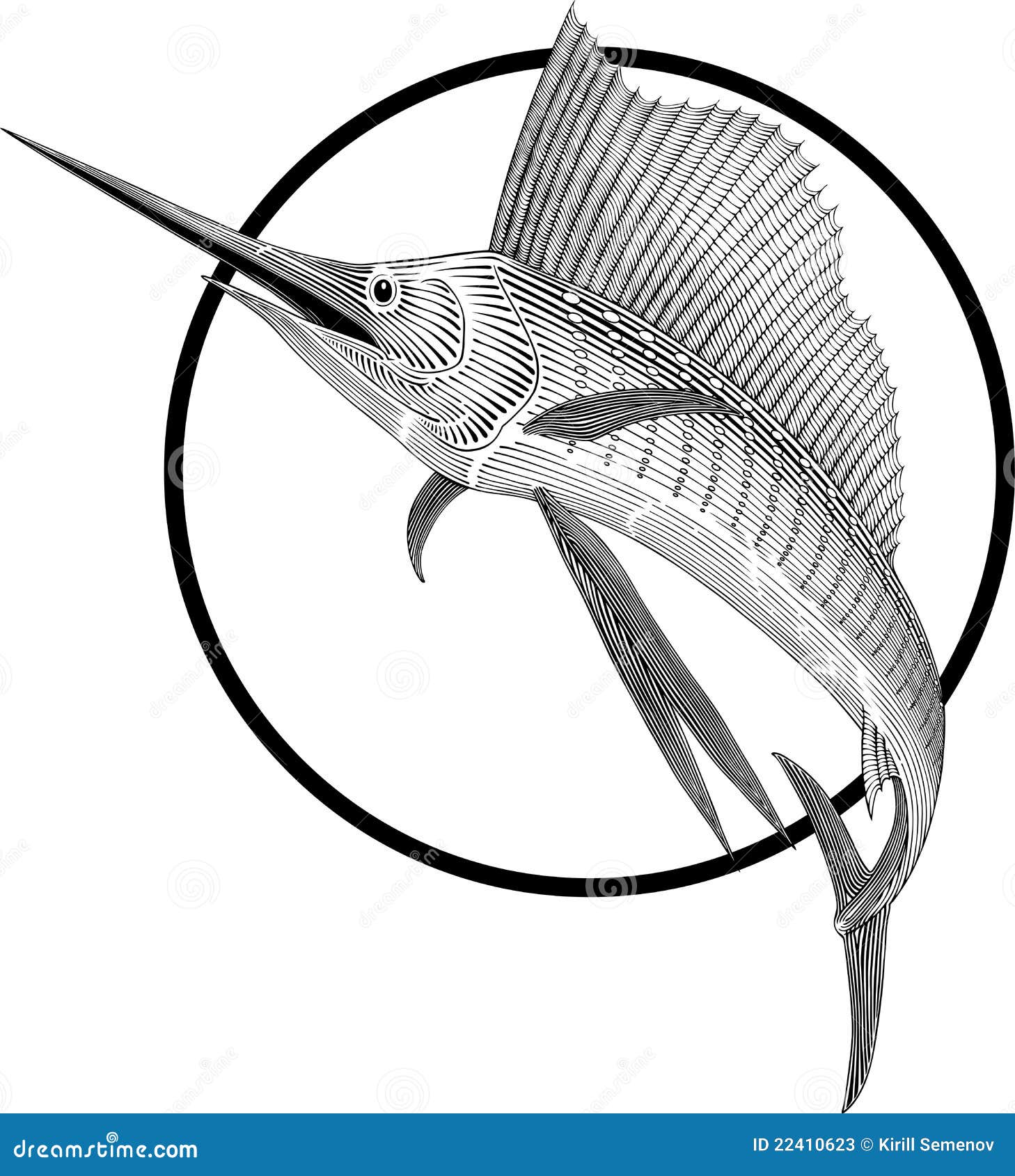 Sailfish stock vector. Illustration of marine, engraving - 22410623