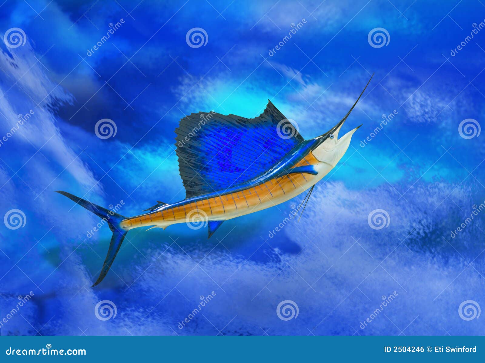 Sailfish with Ocean Backdrop Stock Photo - Image of proud, catch: 2504246