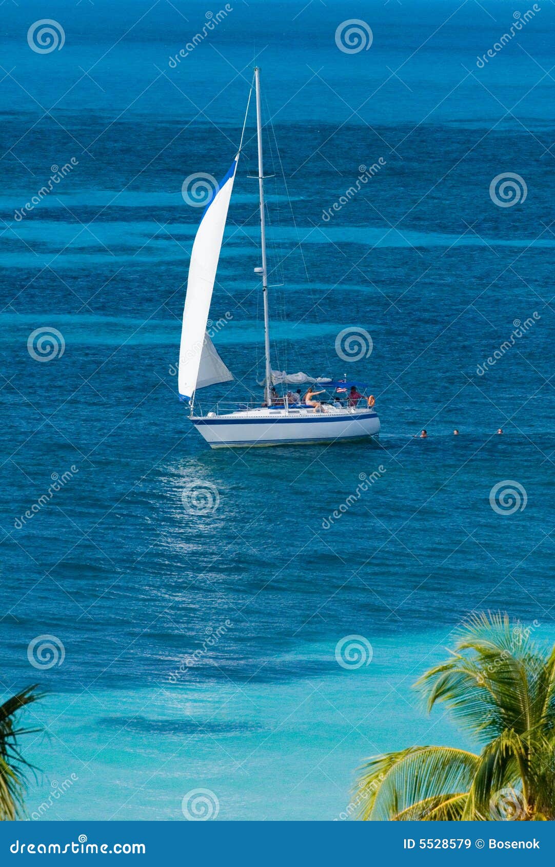 Sailing stock image. Image of boating, sailing, sport - 5528579