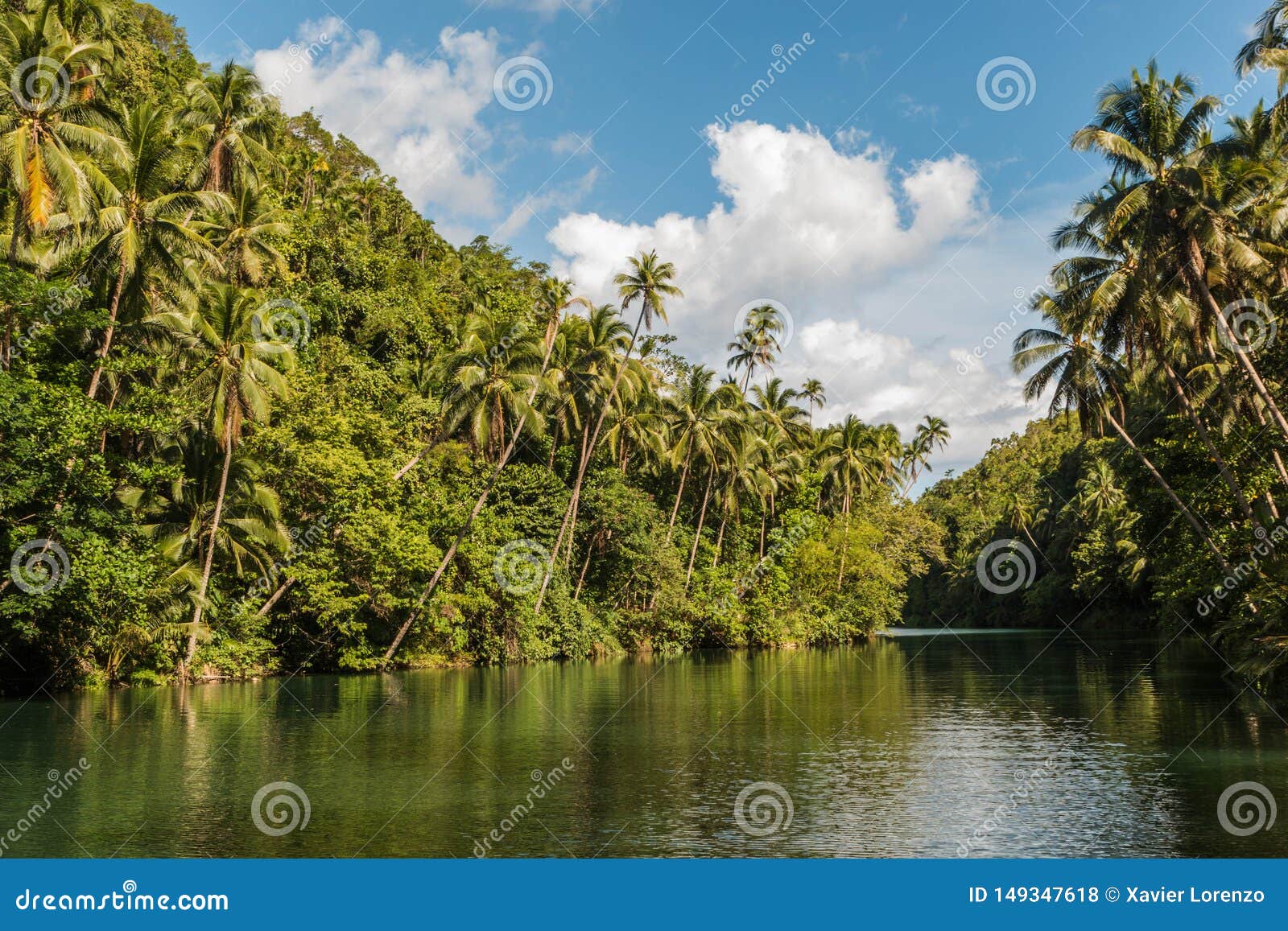 Sailing Above Loboc River in Bohol Island, Philippines Stock Photo ...