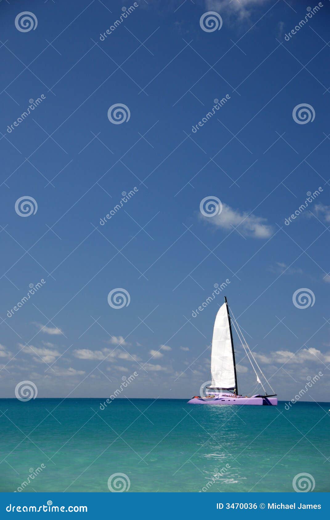 Sailing Boat in the Tropics Stock Photo - Image of tree, catamaran: 3470036