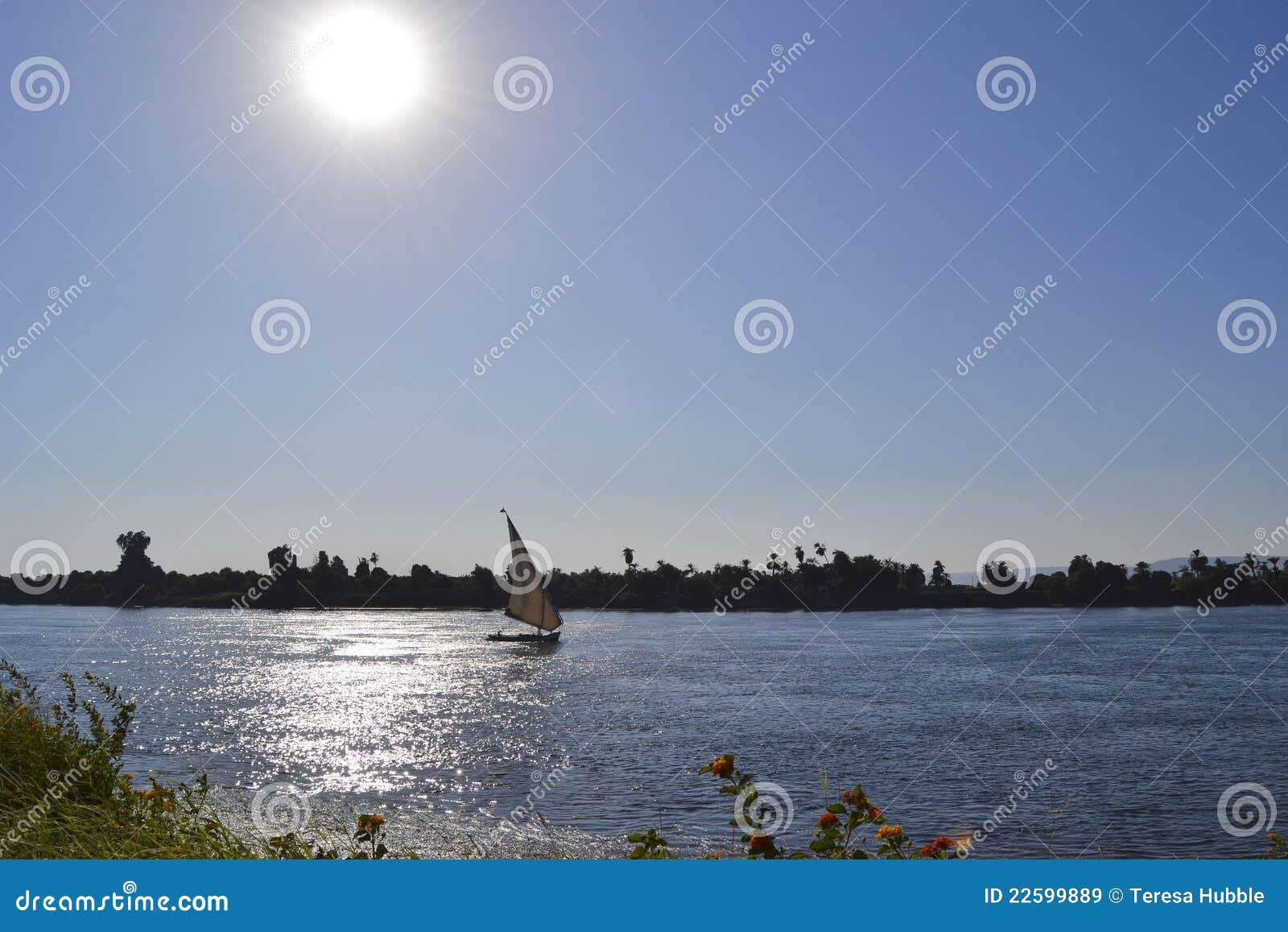Sailing Felluca on the River Nile Stock Image - Image of nautical ...