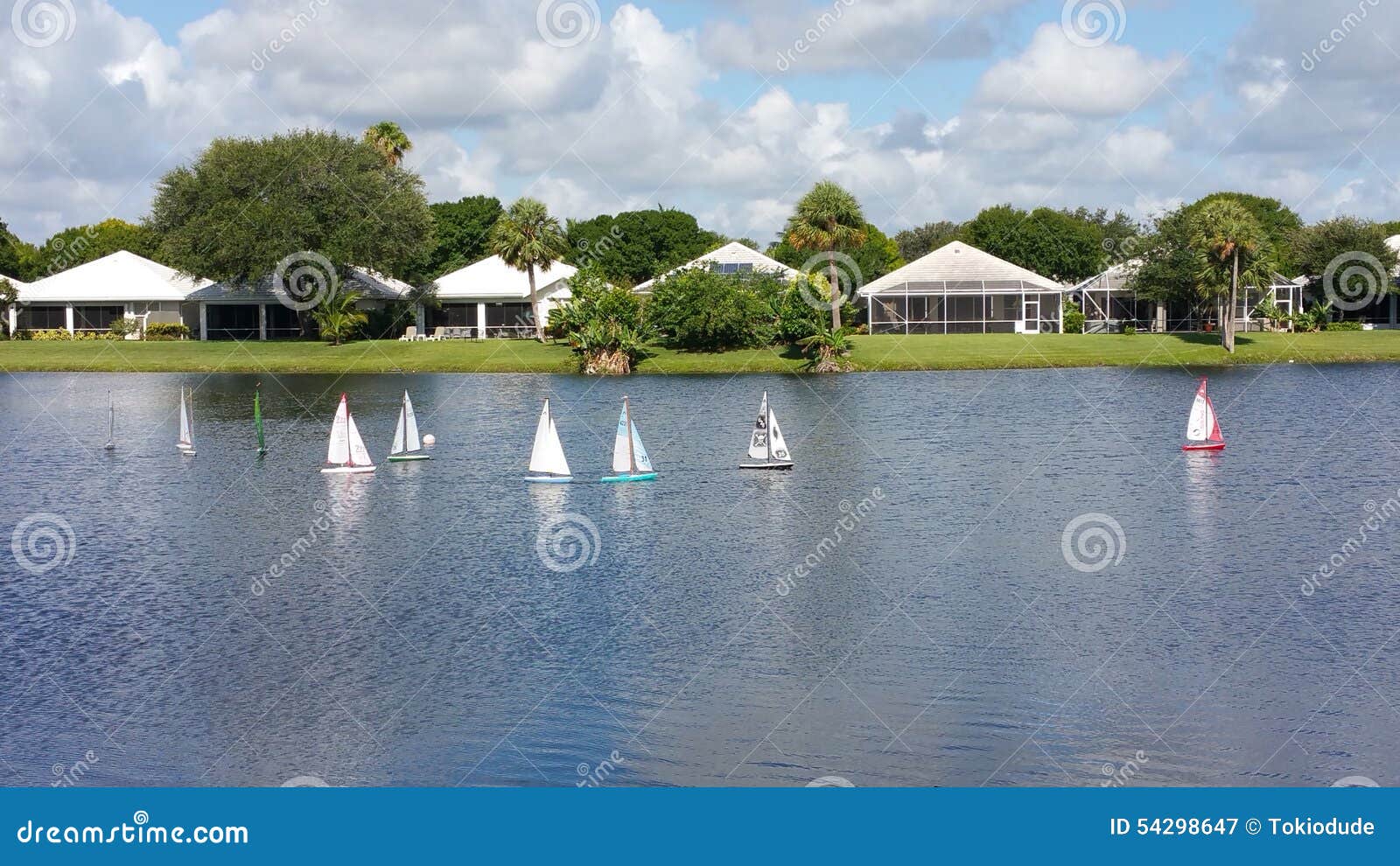 Sailing in a lake stock image. Image of river, bank, reservoir - 54298647