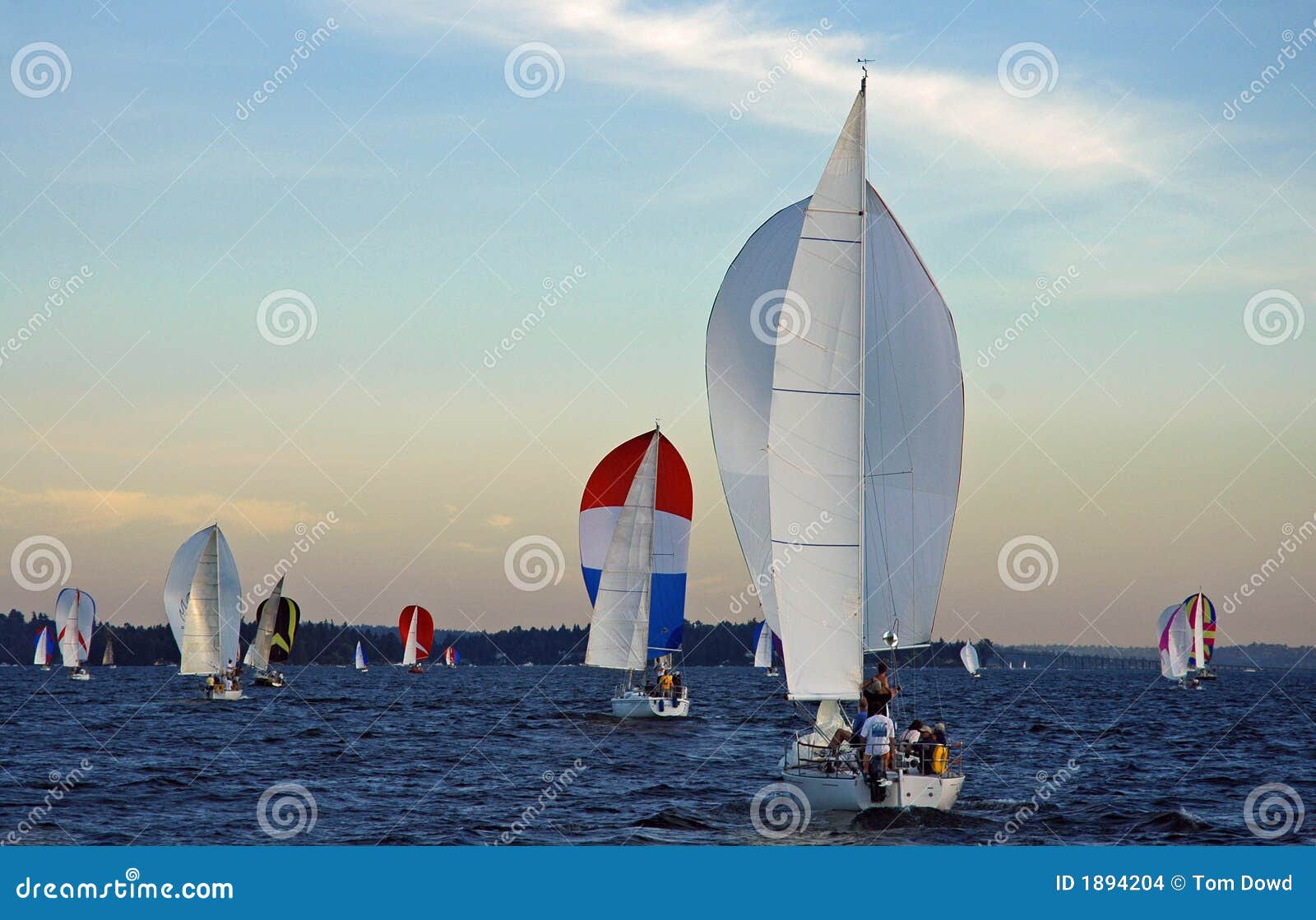 Sailing on Lake Washington editorial stock image. Image of race - 1894204