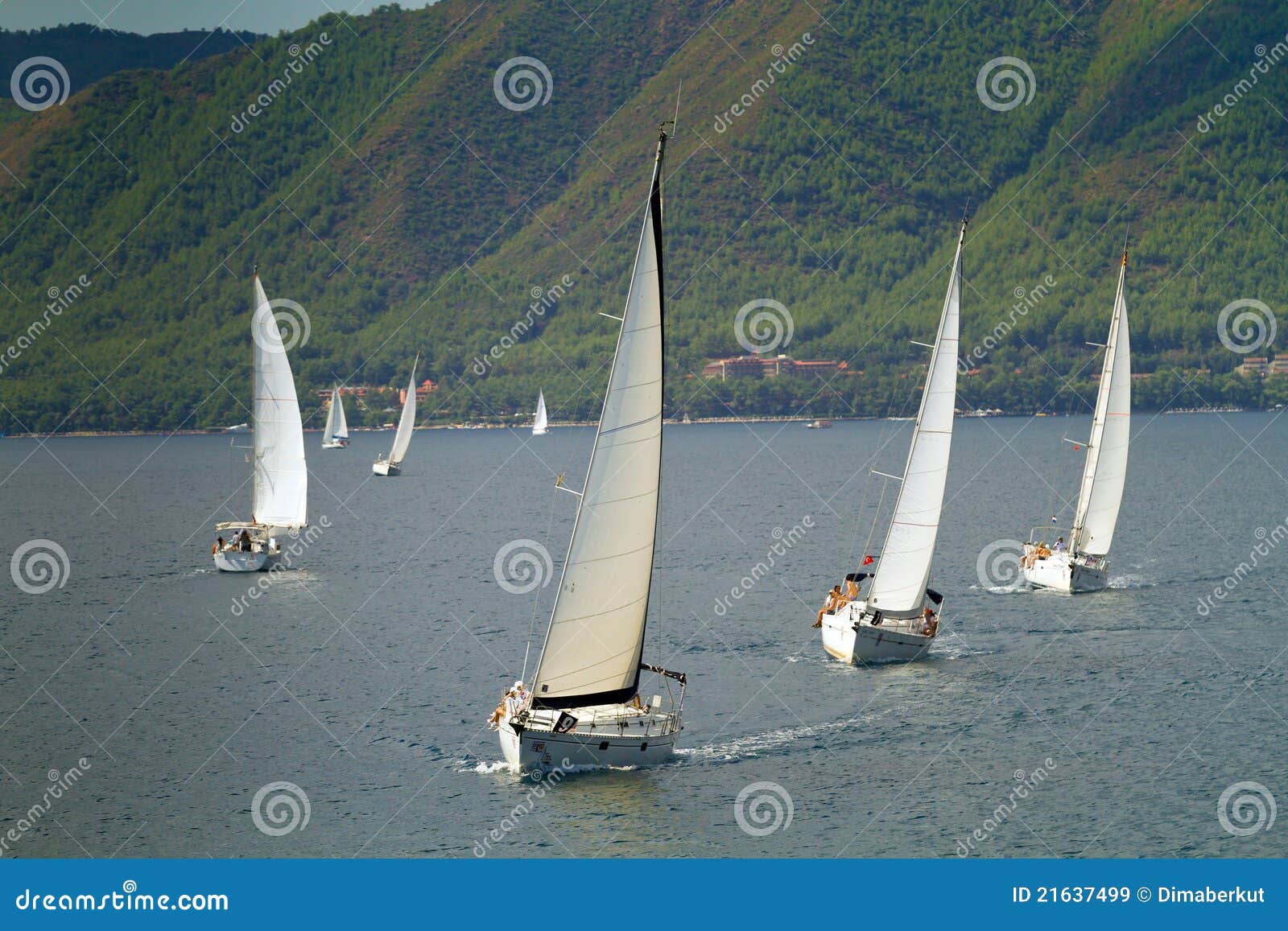 Sailing Regatta Sail & Fun Trophy Editorial Stock Image - Image of ...