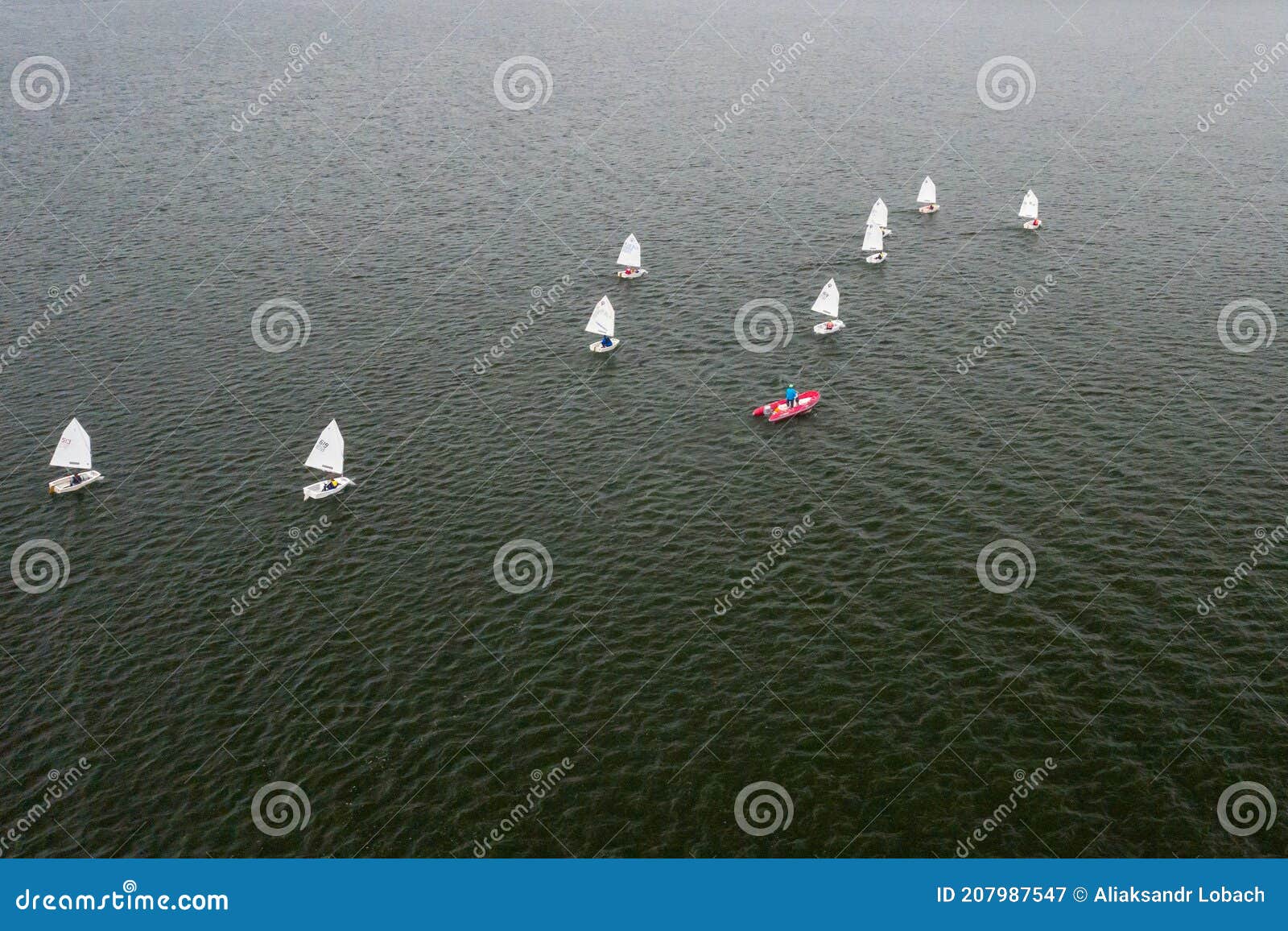Sailing Regatta on the Sea. Many White Sails Float on the Water Stock ...