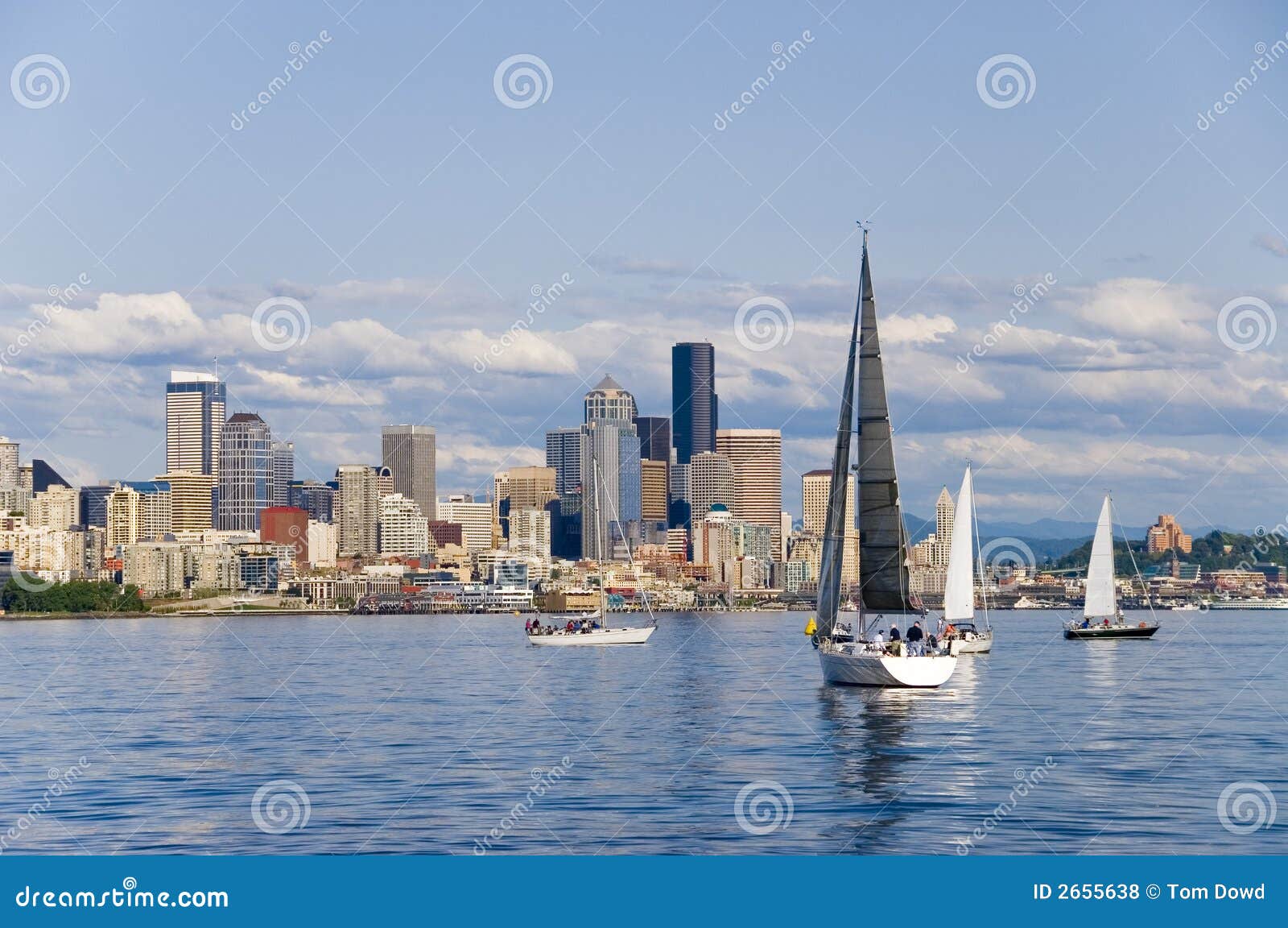 Sailing in Seattle stock photo. Image of captain, fresh - 2655638
