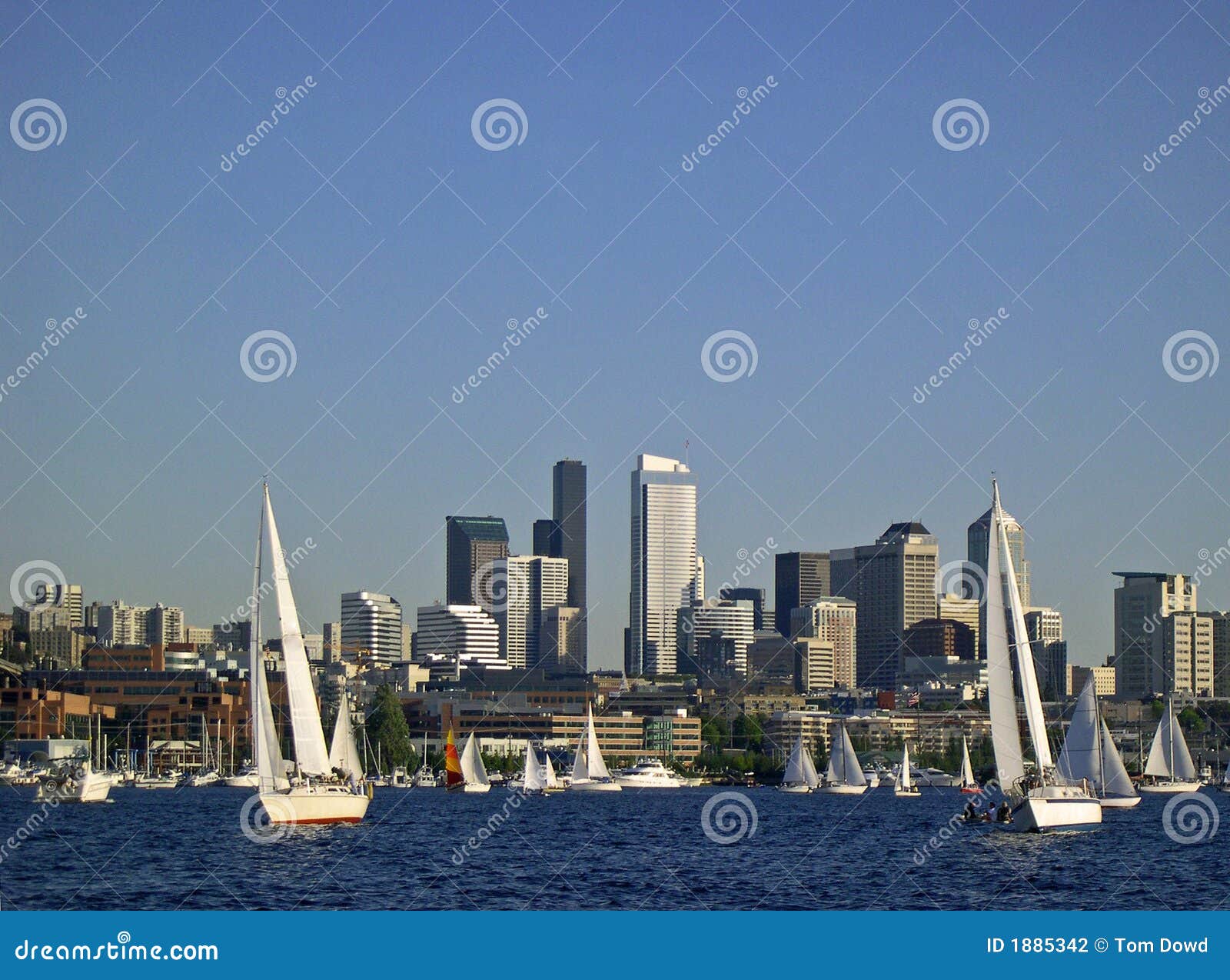 Sailing Seattle Style stock photo. Image of seattle, skyscrapers - 1885342