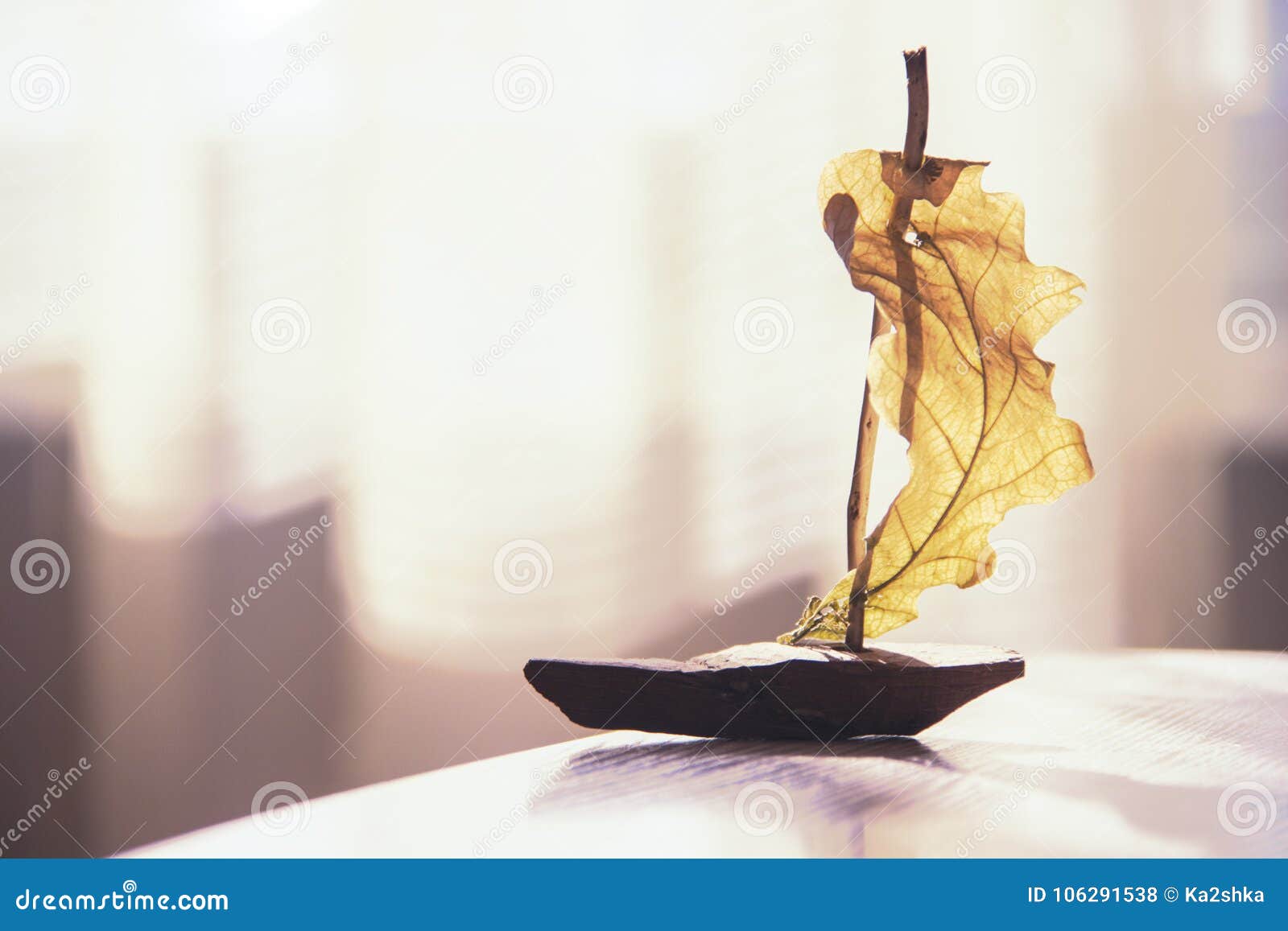 The Sailing Ship from the Oak Tree and Leaf. Stock Photo - Image of ...