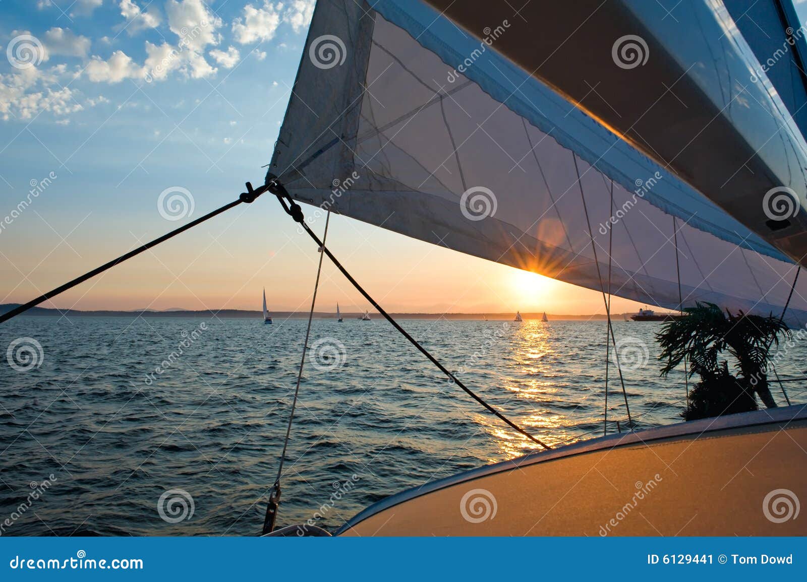 Sailing at sunset stock image. Image of water, glowing - 6129441
