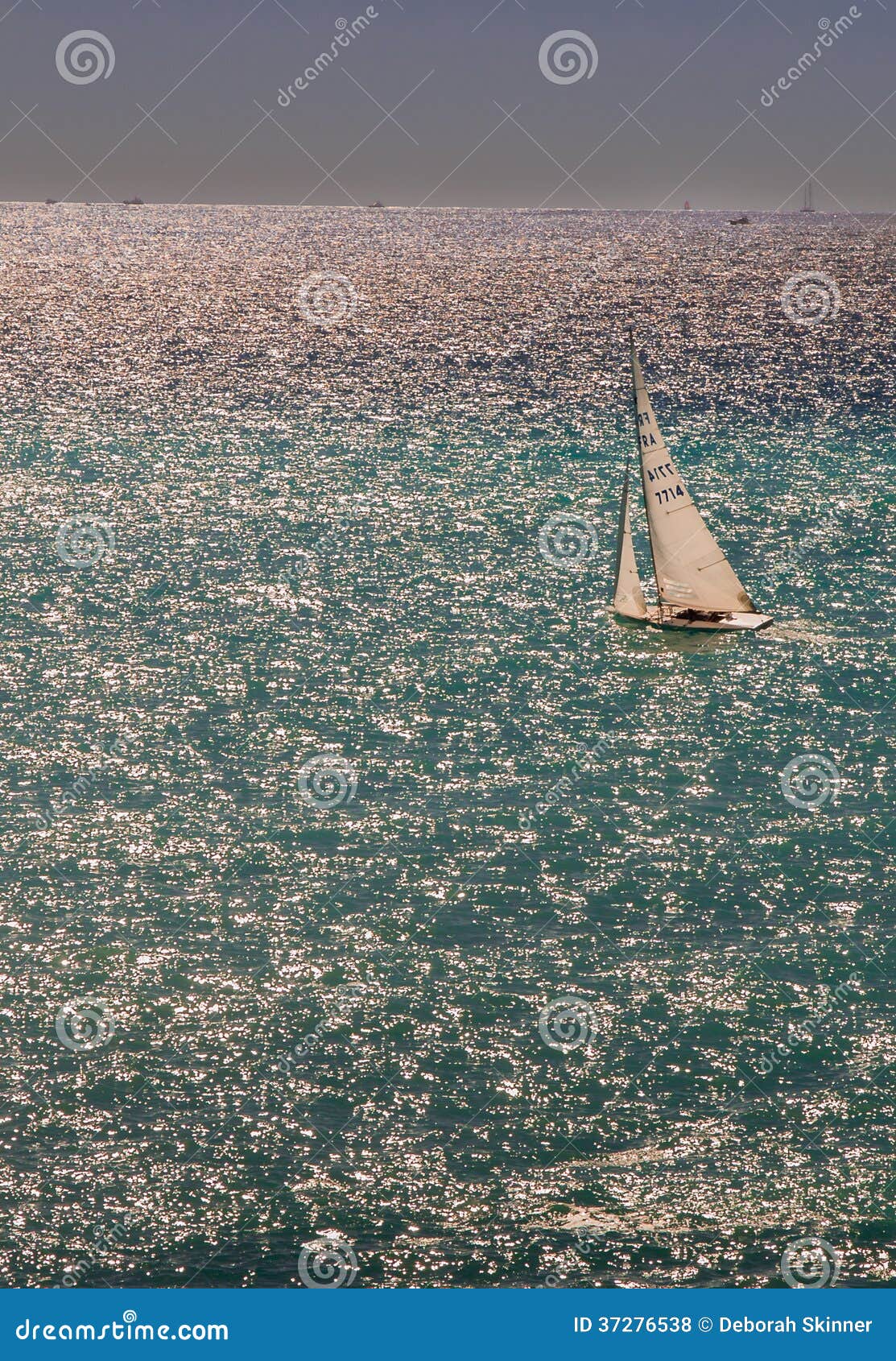Sailing sunset in Nice stock photo. Image of colors, sunset - 37276538