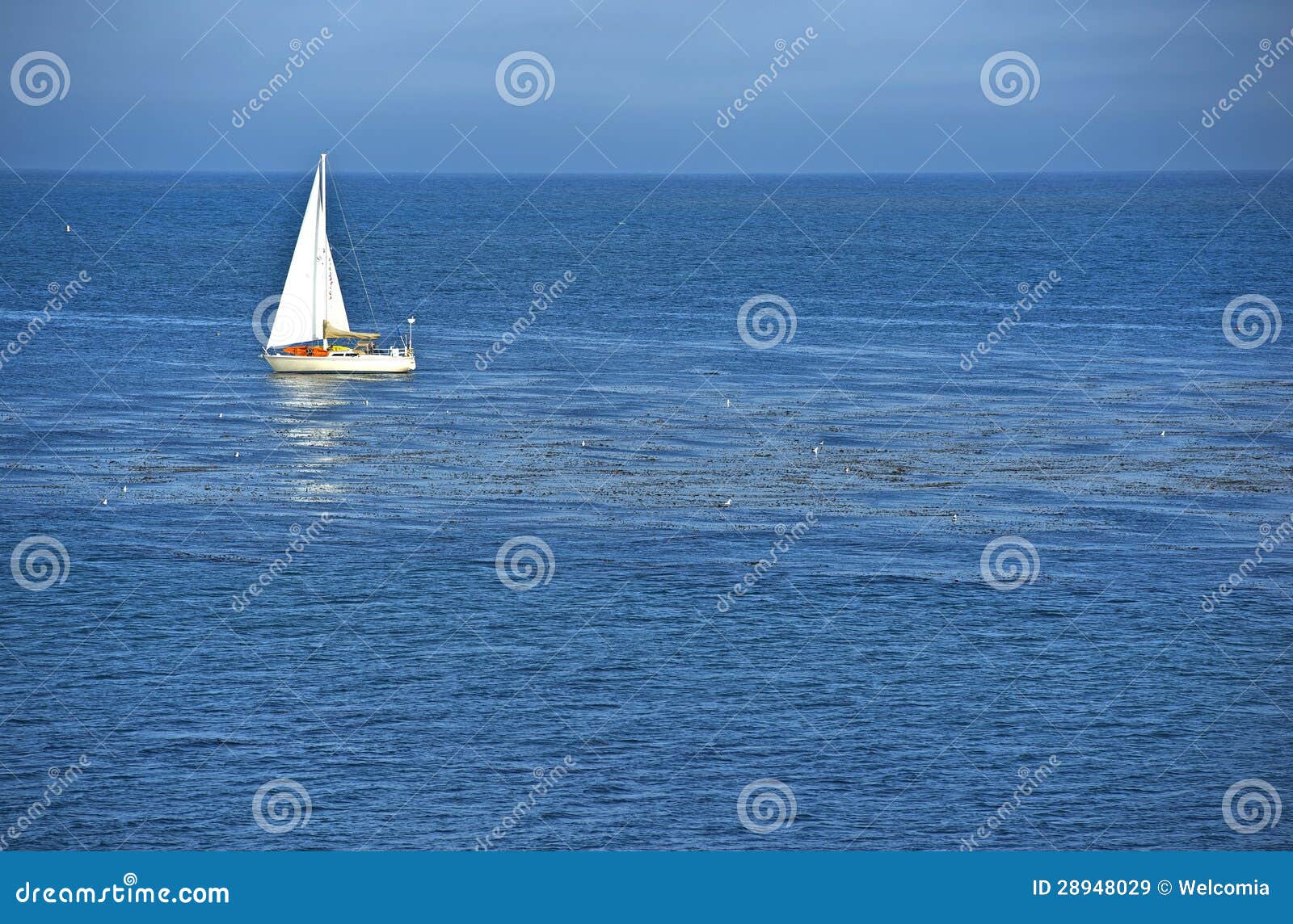 Sailing Theme stock image. Image of marina, windy, wavy - 28948029