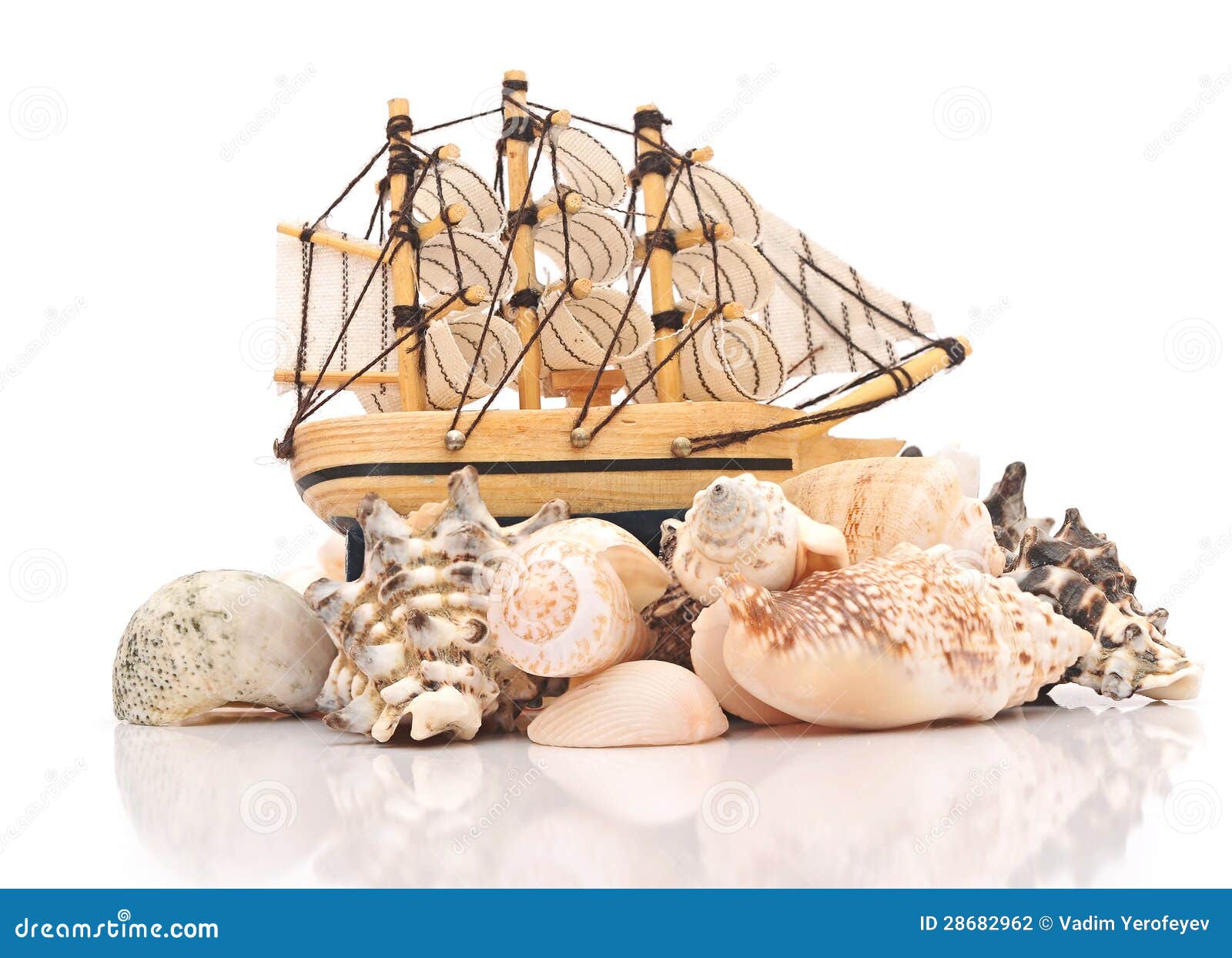 Sailing Vessel and Sea Shells Stock Photo - Image of water, backgrounds ...