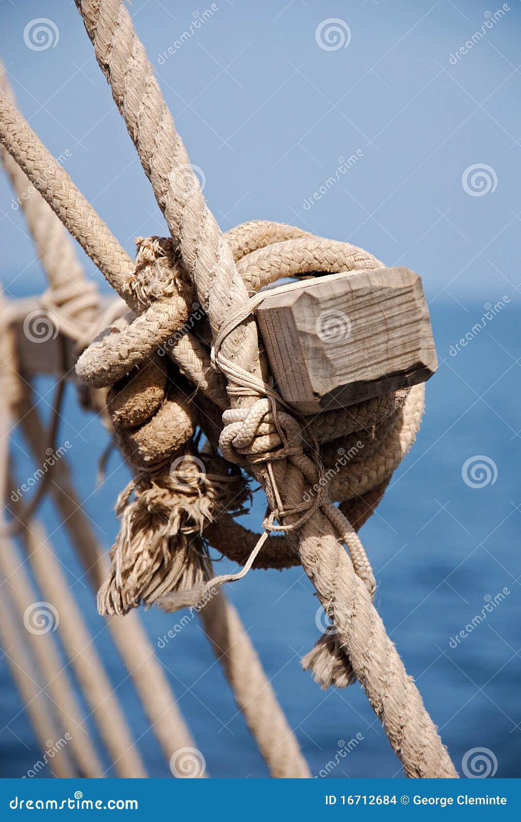 Sailor knot close-up stock photo. Image of fasten, rope - 16712684