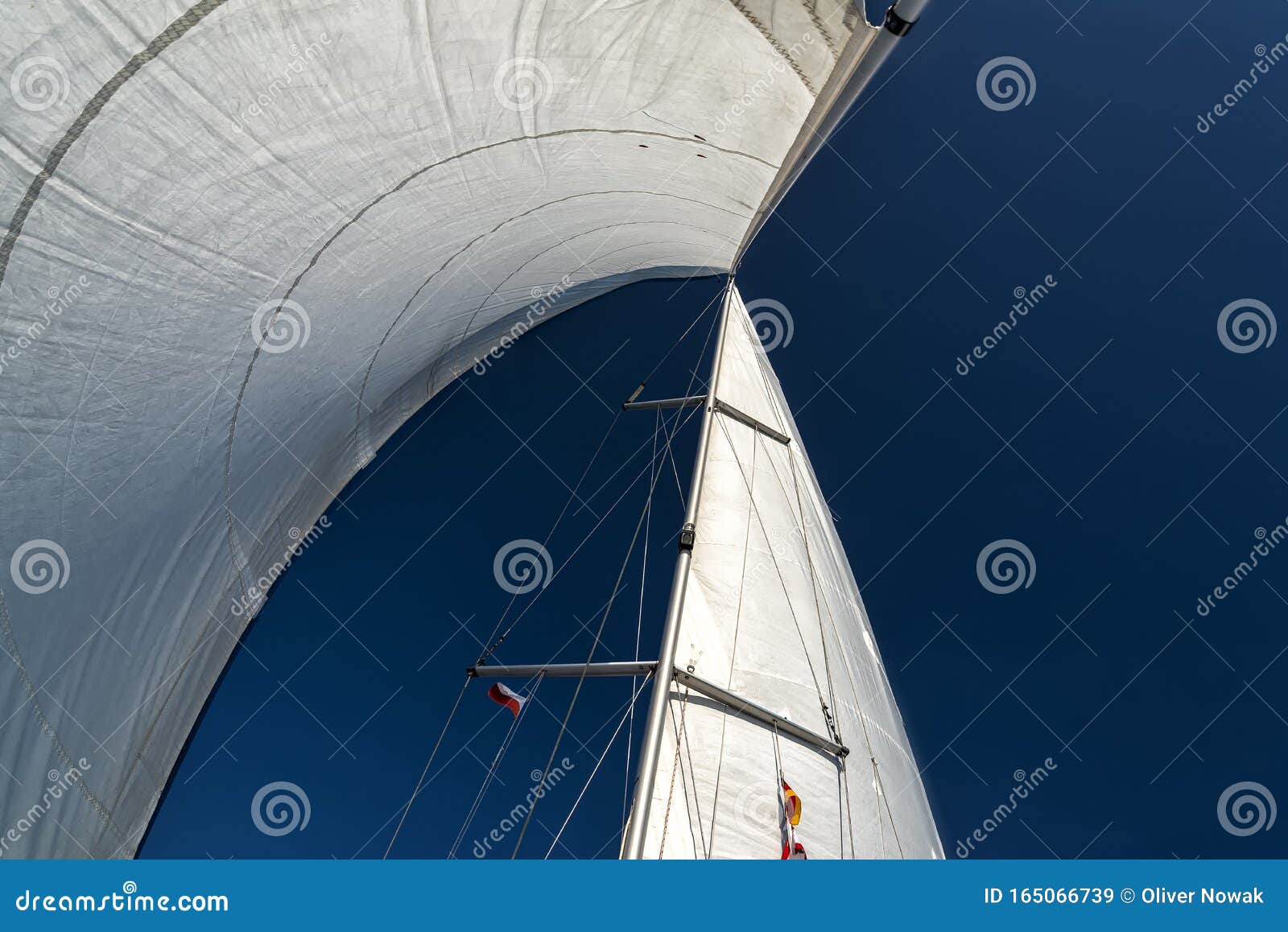 Sails of a Sailing Yacht in the Wind Stock Image - Image of yachtsmen ...