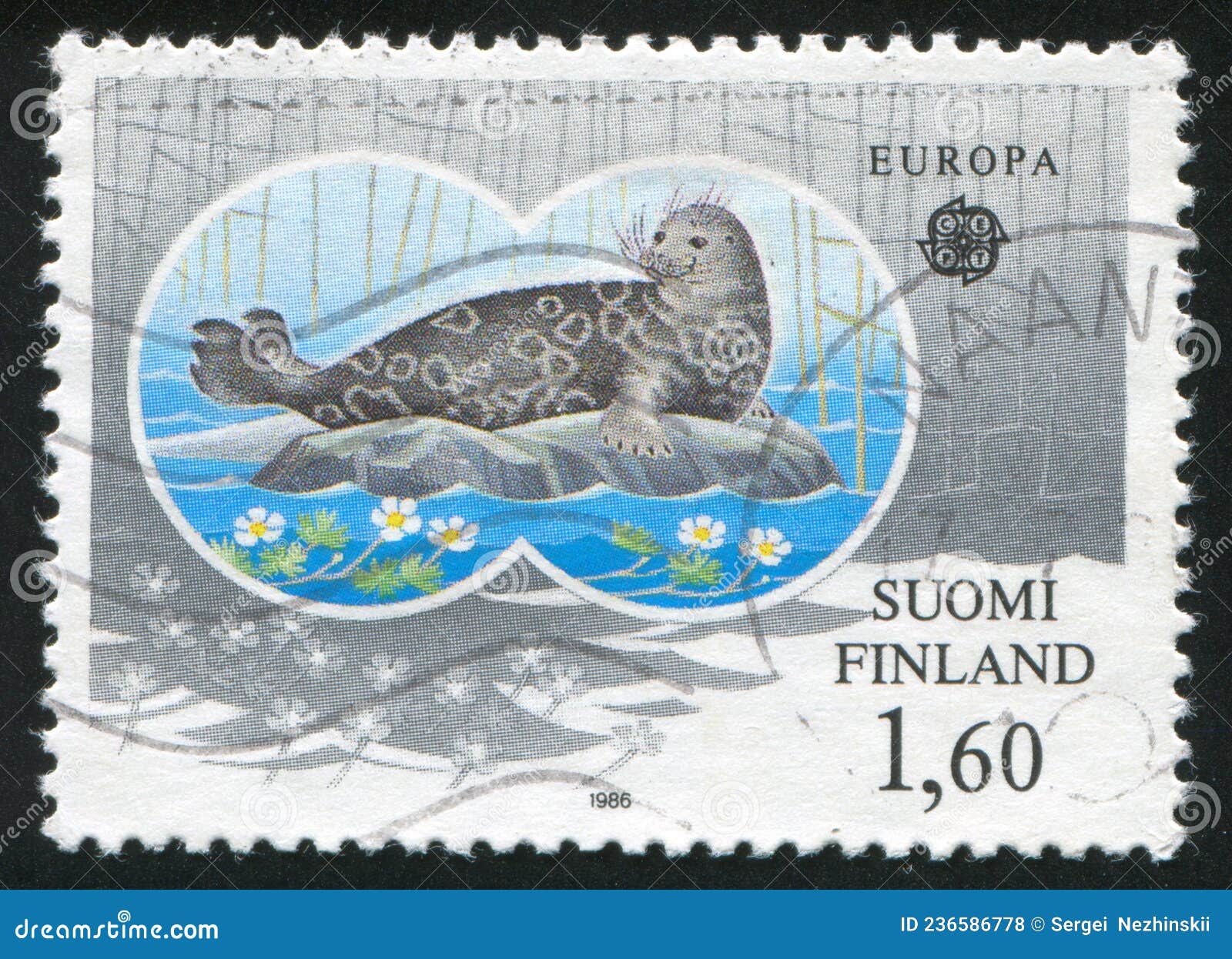 Saimaa Ringed Seal editorial stock photo. Image of antique - 236586778