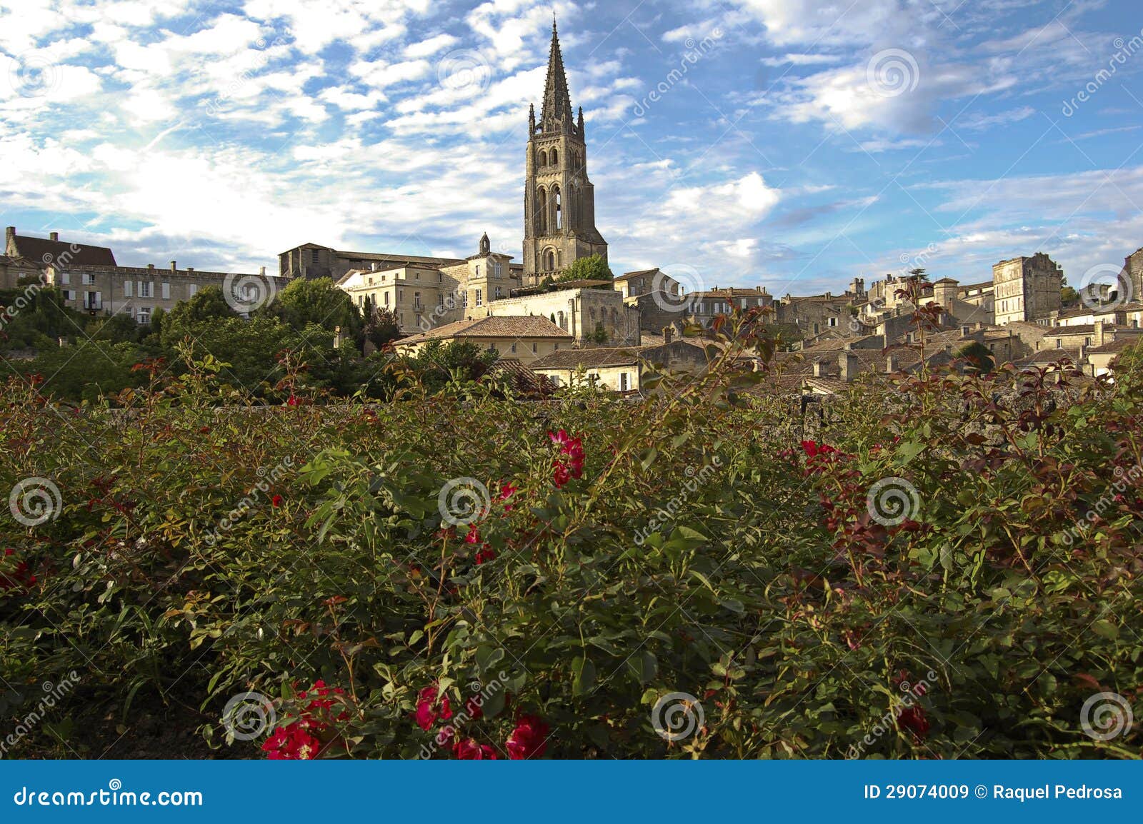 Saint Emilion, France stock image. Image of summer, tourism - 29074009