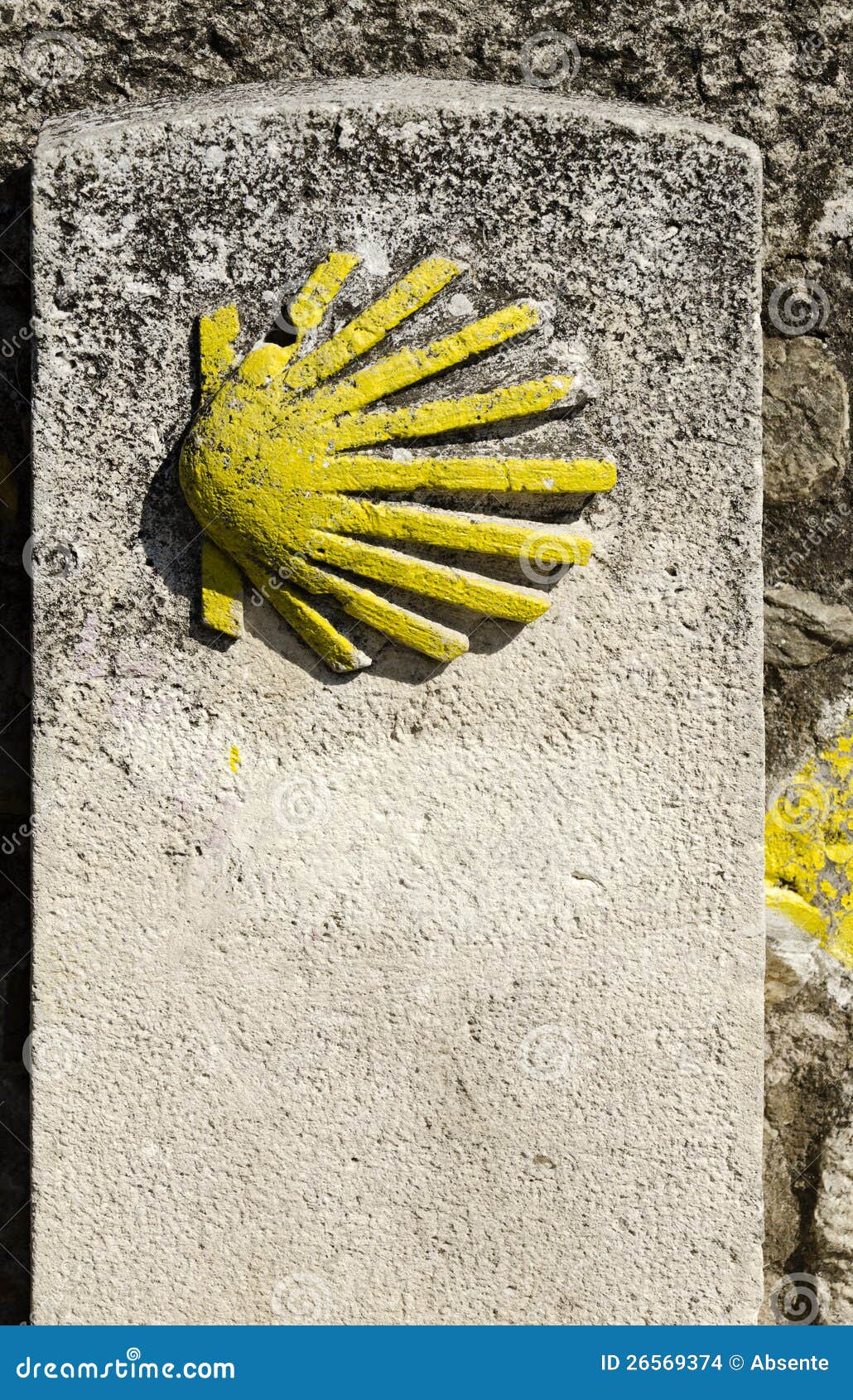 Saint James Way Shell stock photo. Image of journey, scallop - 26569374