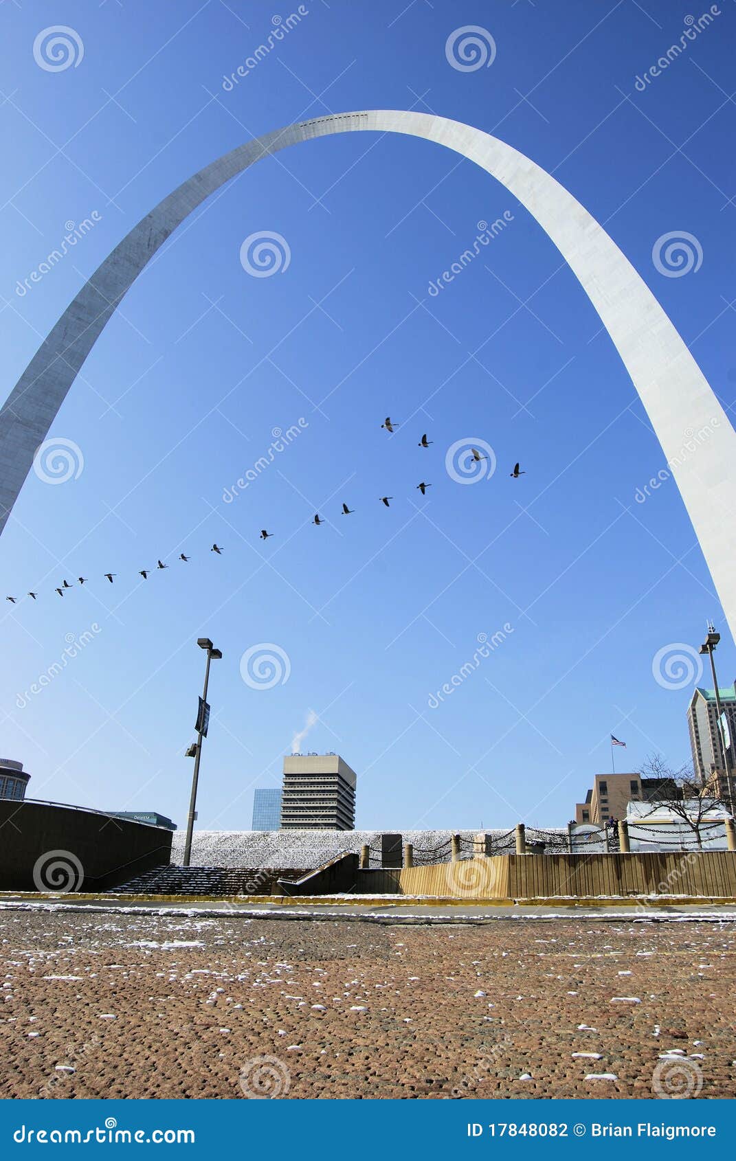 Saint Louis Gateway Arch Birds Stock Photo - Image of america, memorial ...