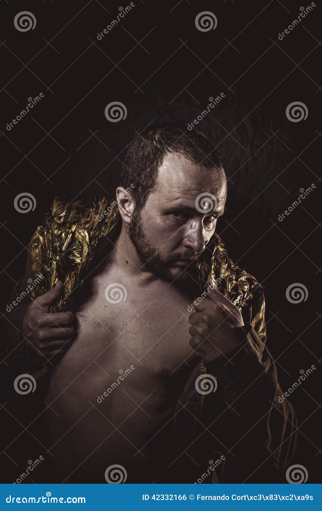 Saint Man Beard and Suit Made with Golden Wings Stock Photo - Image of ...