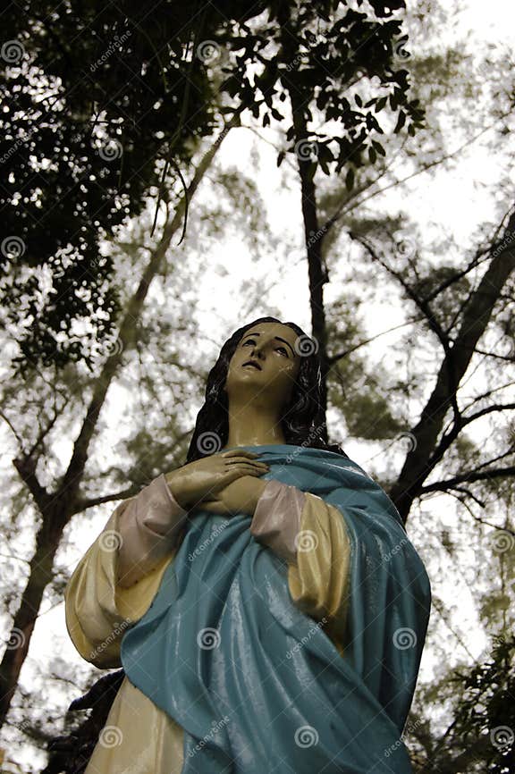 Saint Mary stock photo. Image of manger, mary, sacred, immaculate - 911488