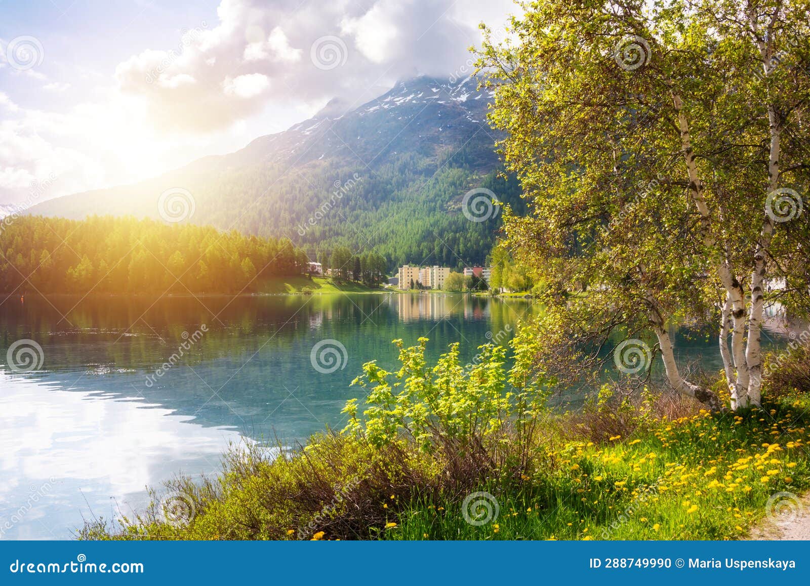 Saint Moritz Lake in Switzerland in Summer Stock Photo - Image of ...