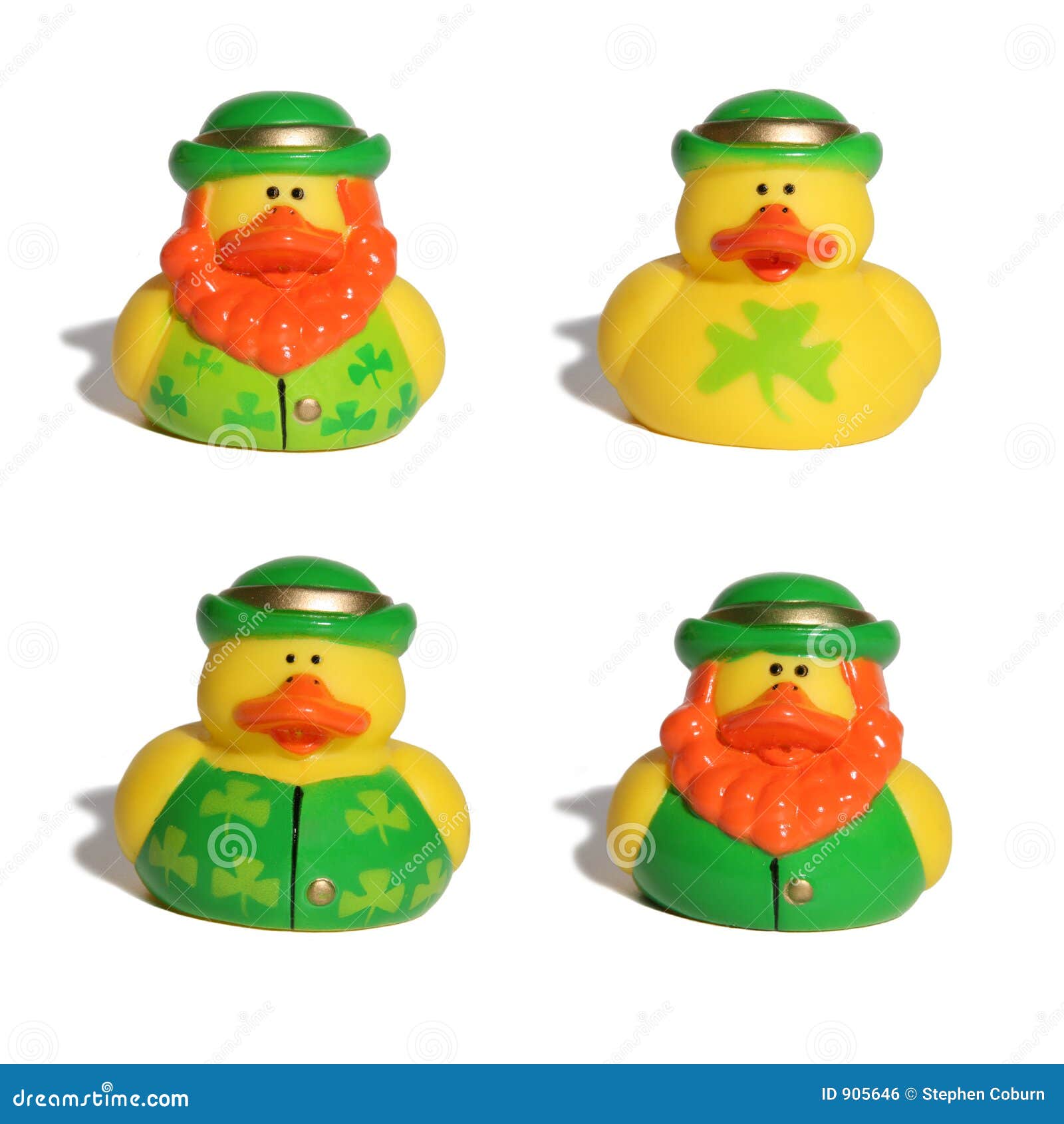 Saint Patrick s Ducks stock photo. Image of beak, squirt - 905646