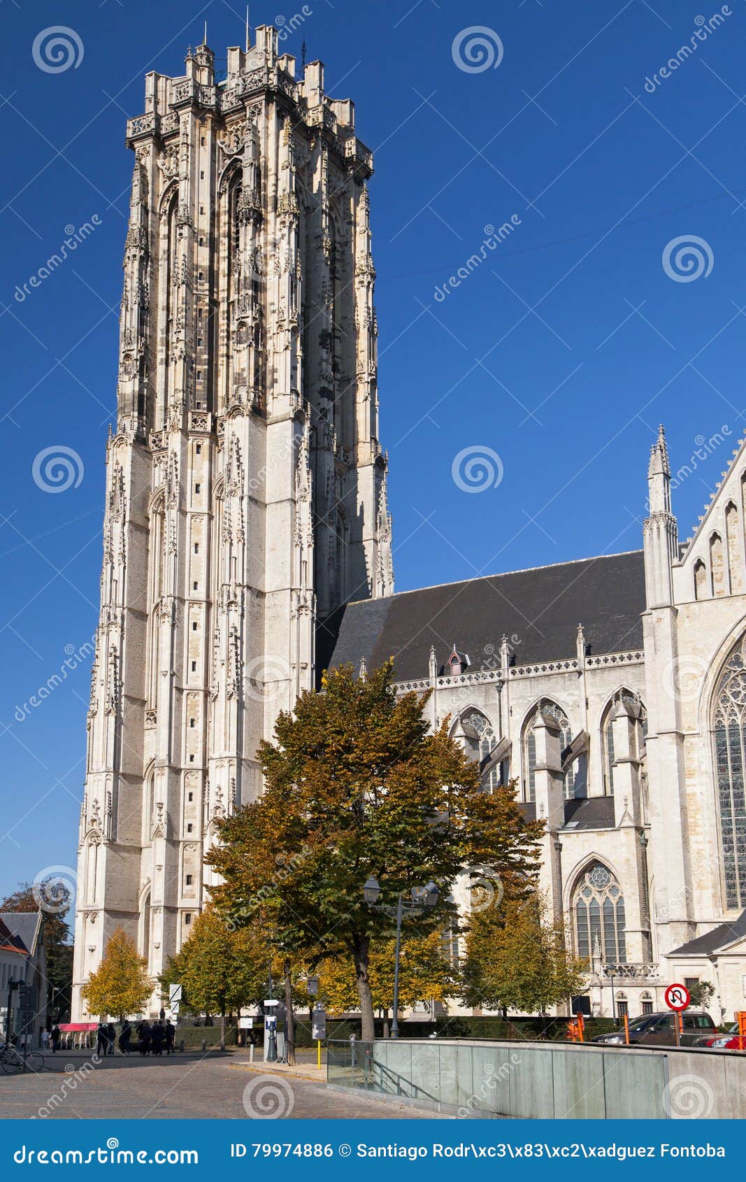 Saint Rumbold S Cathedral Tower Stock Photo - Image of unesco, vertical ...