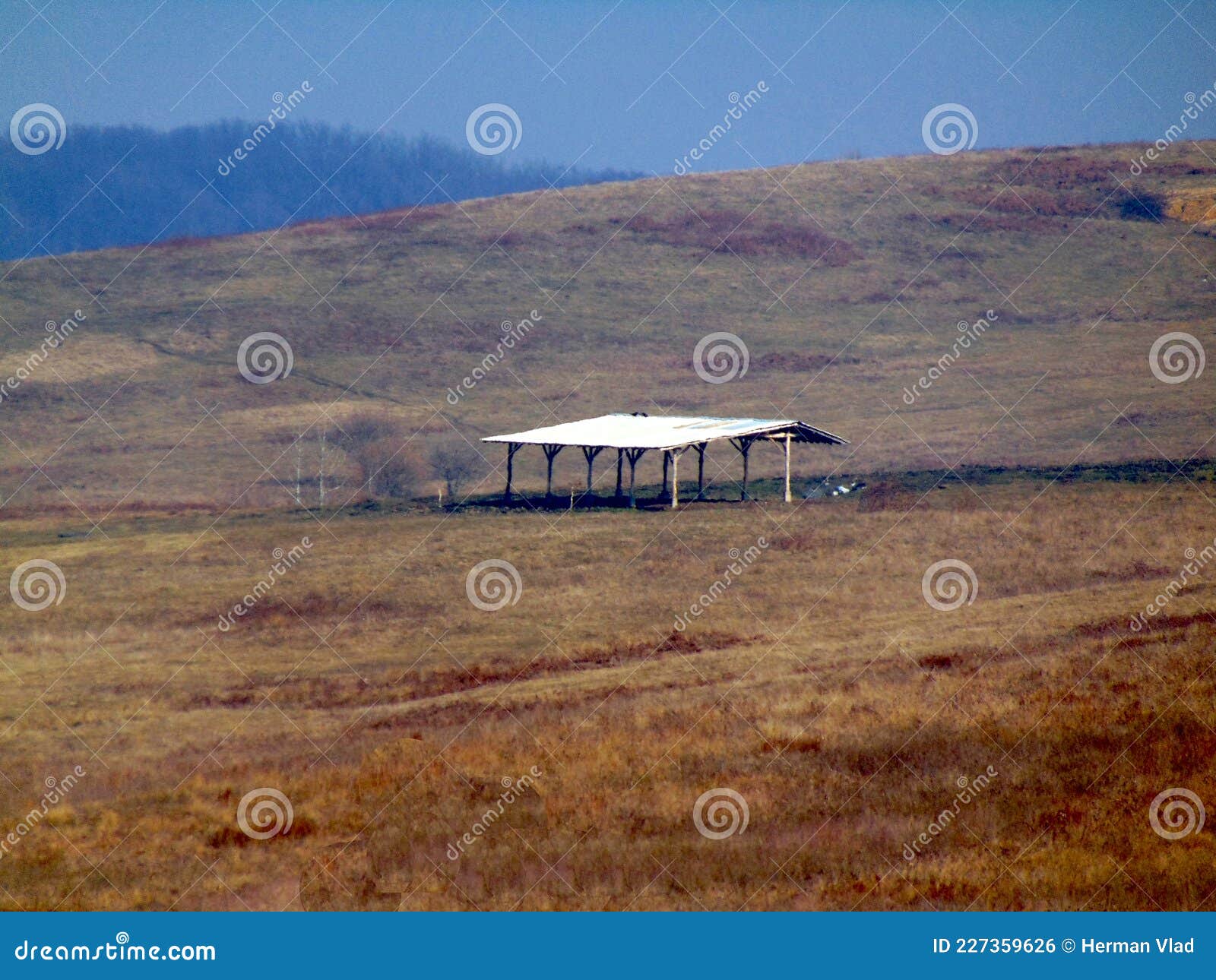 Saivan for Animals in Maramures County Stock Photo - Image of landscape ...