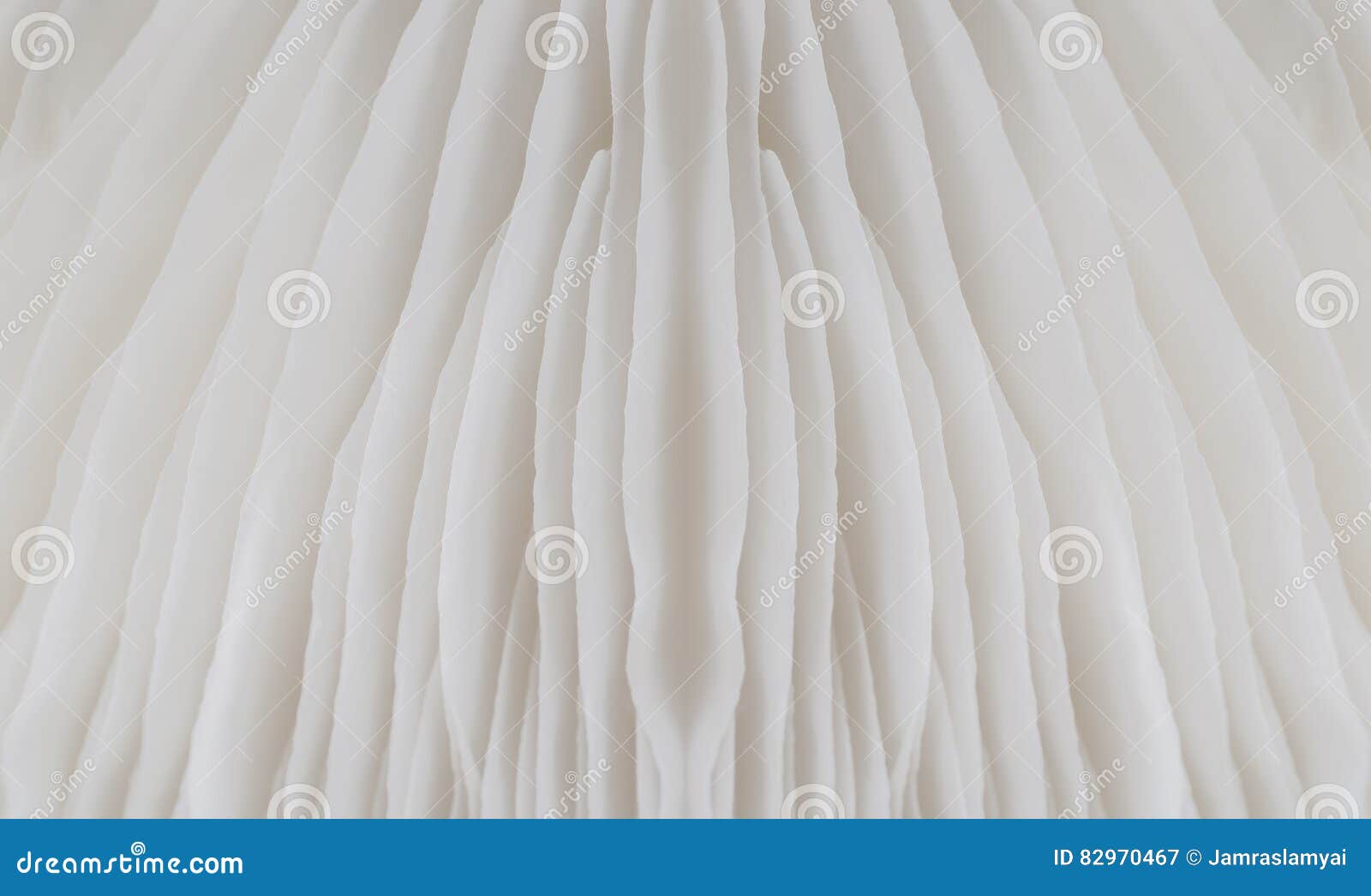 Sajor-caju Mushroom stock image. Image of edible, mycology - 82970467